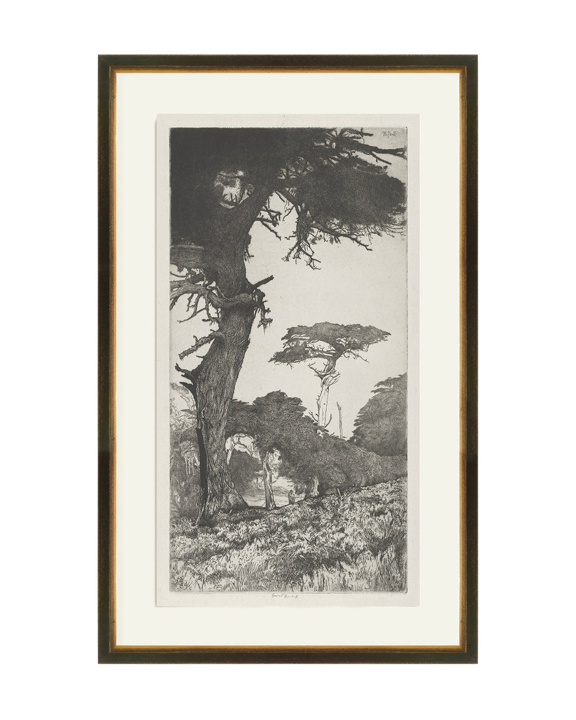 Trees Etching 6 – Splendus