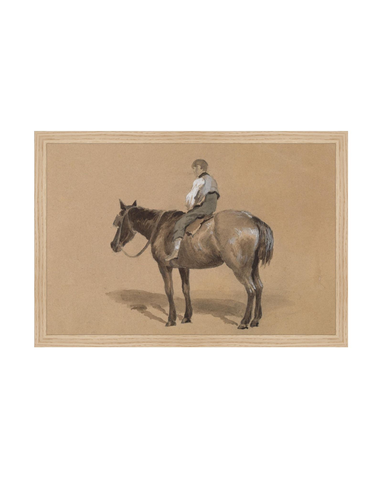 Companions – Splendus