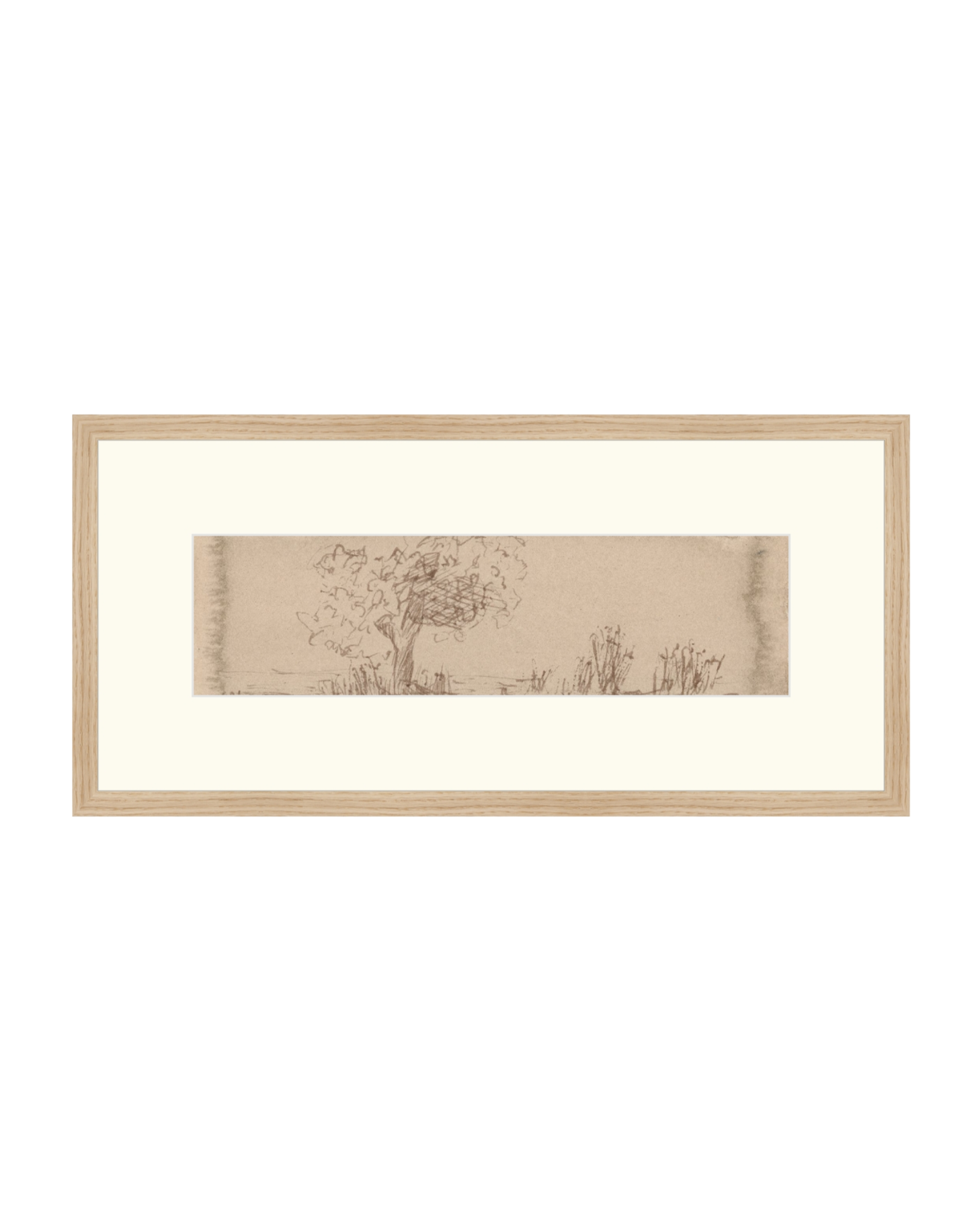 Traces of the Field IV – Splendus