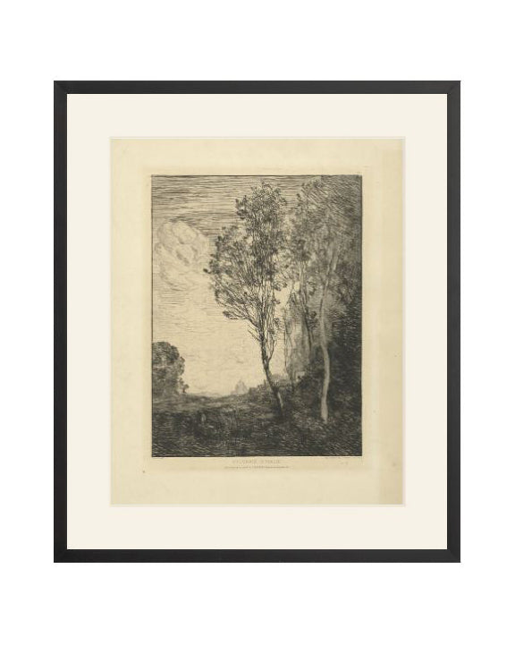 Trees Study Sketch – Splendus