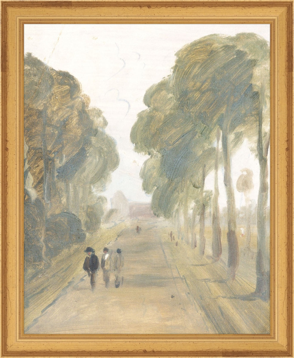 Tree Park HoJ – Splendus