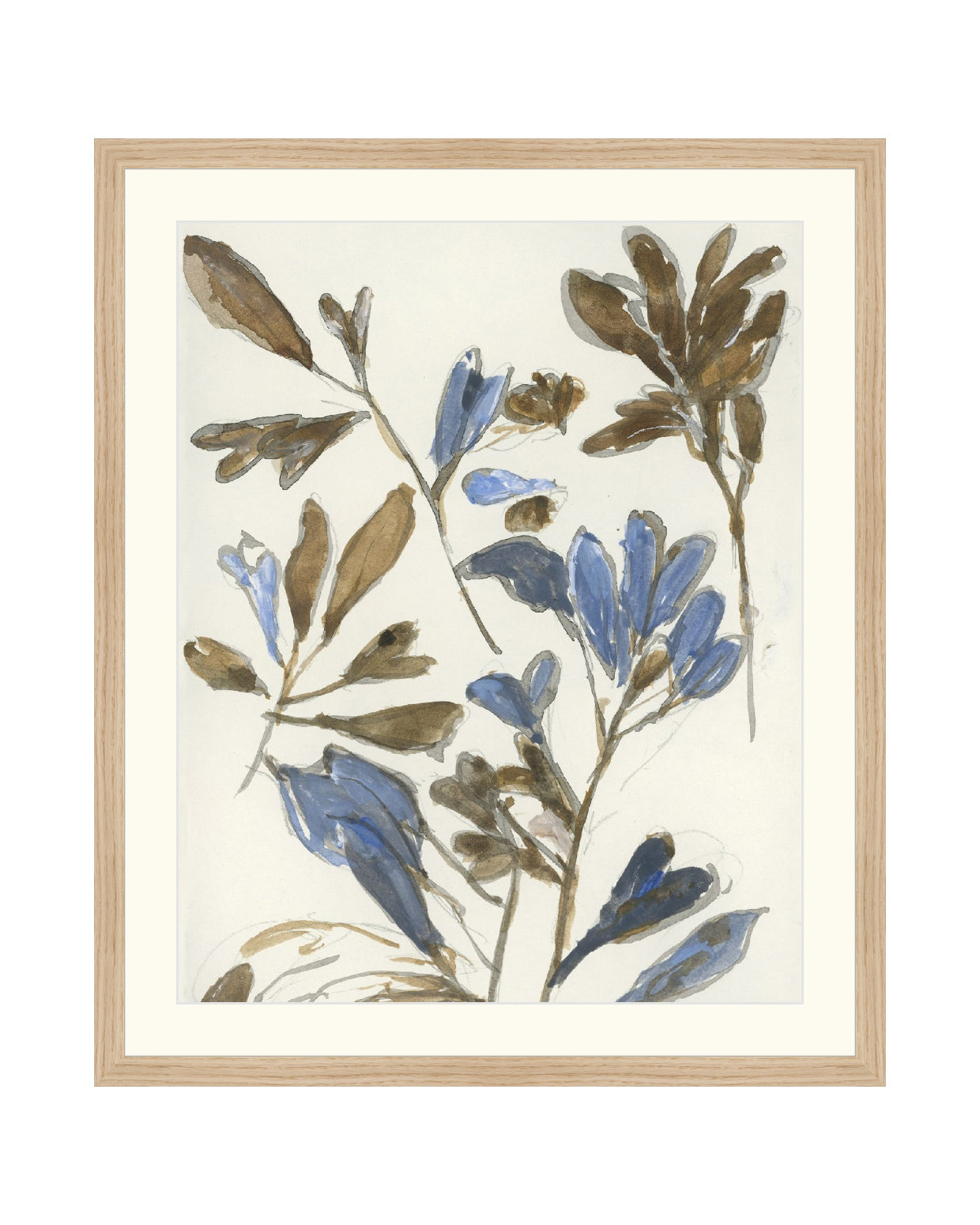 Botanical Color Study – Splendus