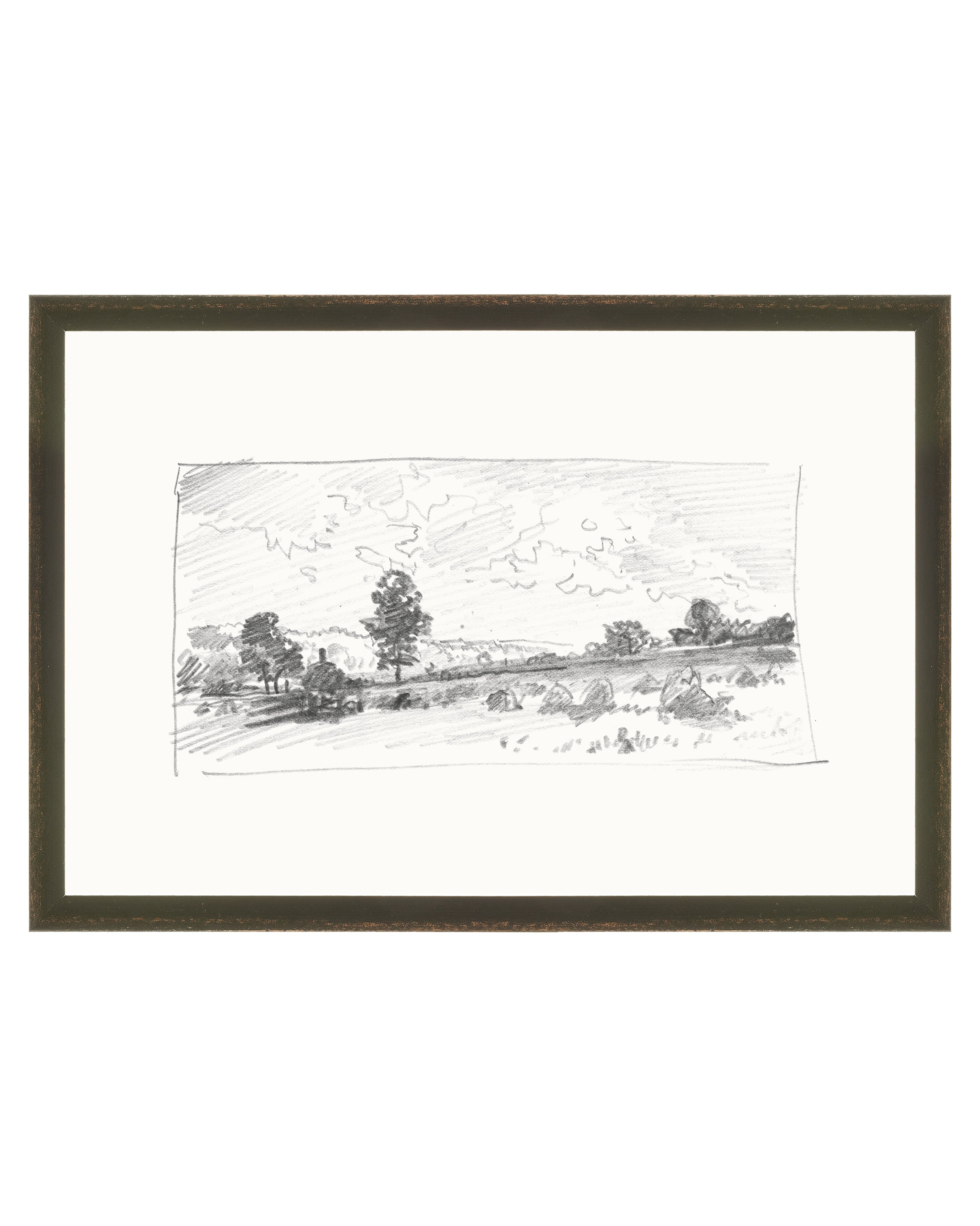 Charcoal Trees 2 – Splendus