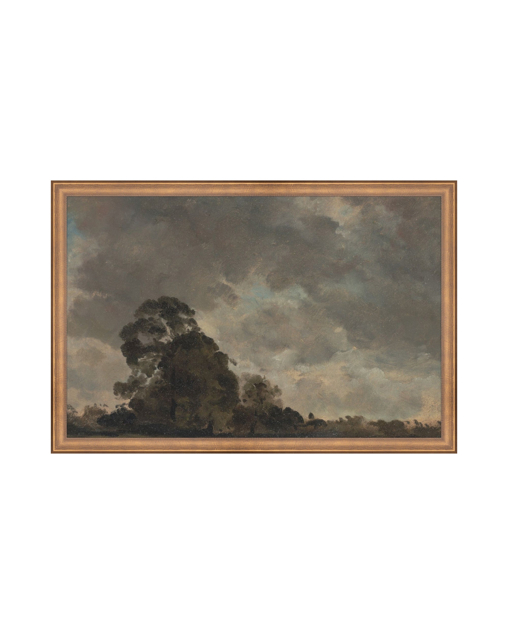 Cloudy Forest – Splendus