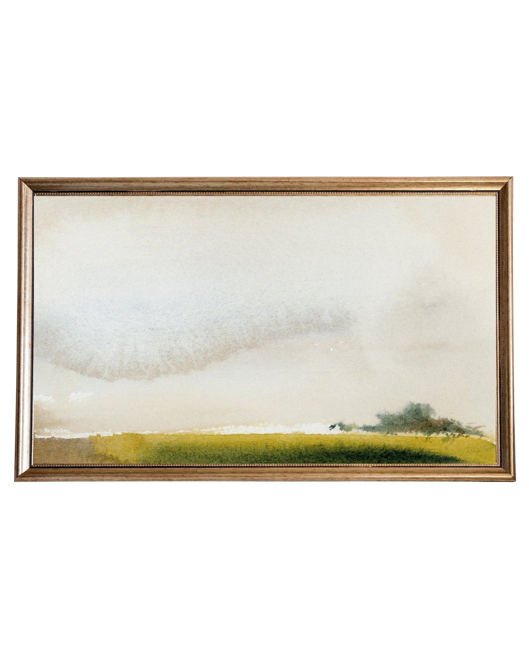 Dream Meadow – Splendus