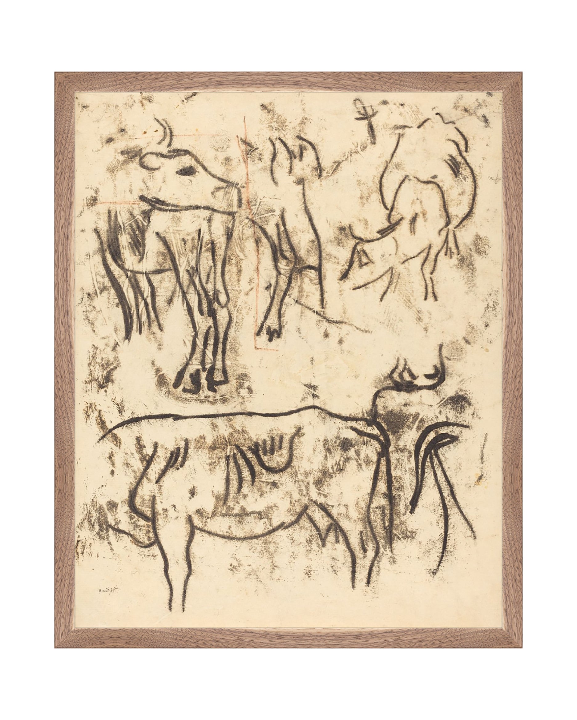 Herd Study – Splendus