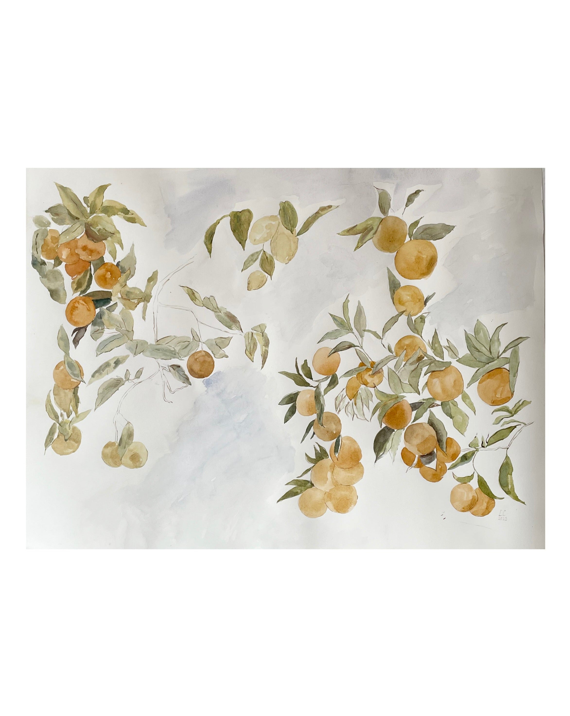 Original Artwork Lemons and Oranges Study – Splendus