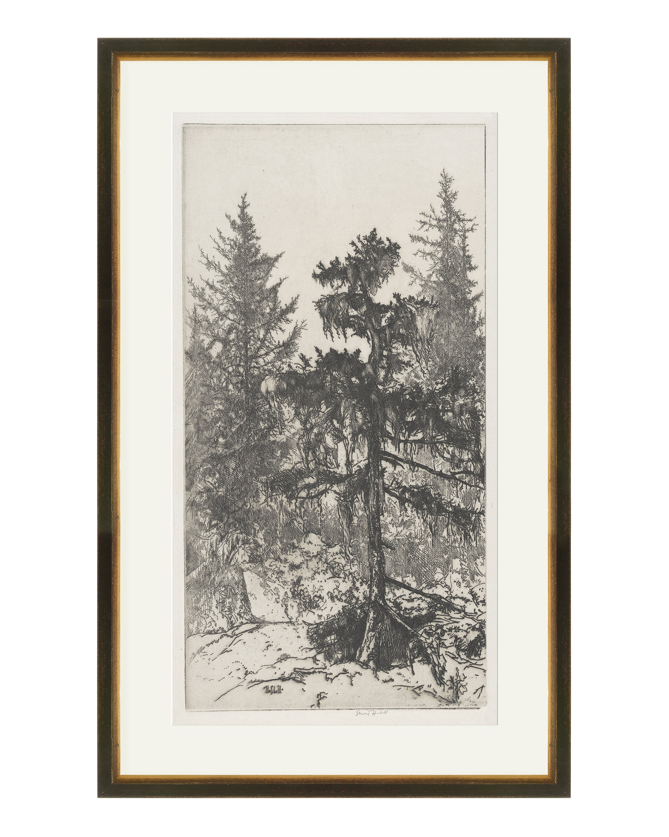 Trees Etching 2 – Splendus