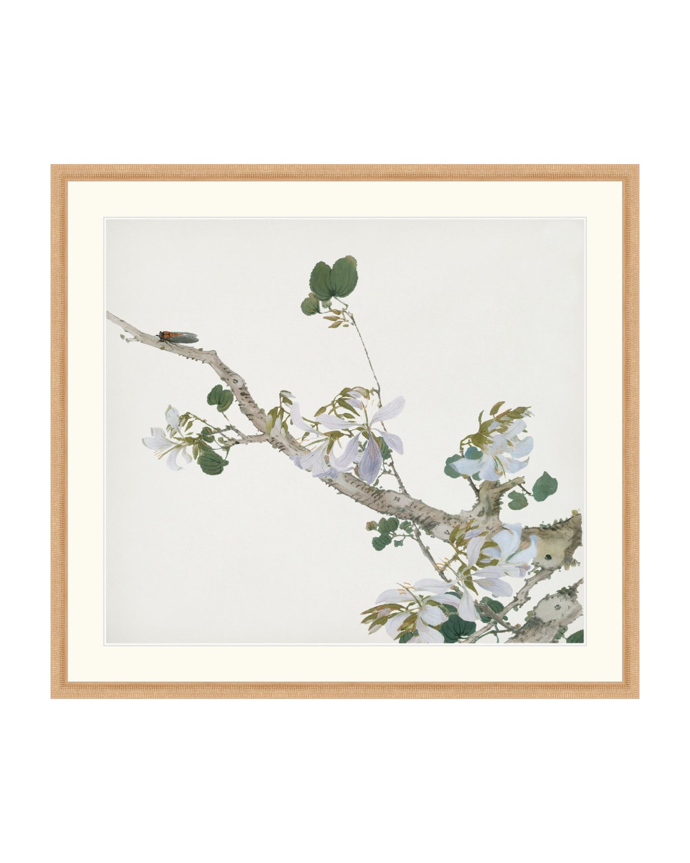 Spring Garden II – Splendus