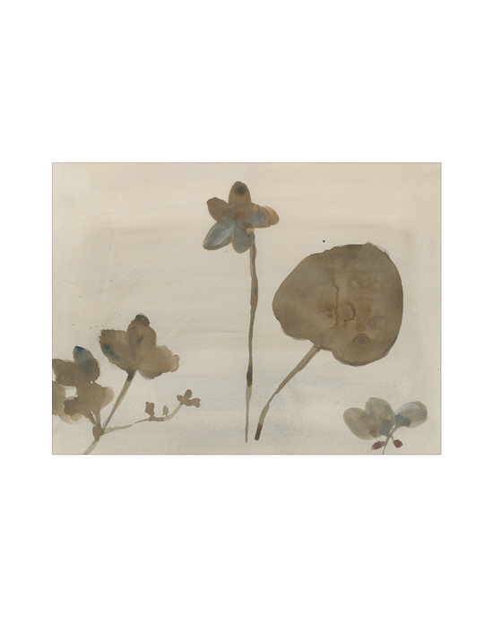 Botanical Thoughts III – Splendus