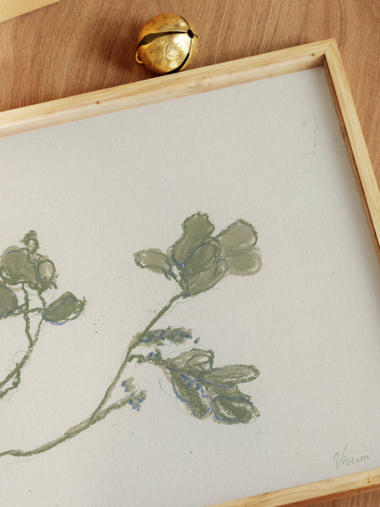 Pastel Mistletoe – Splendus