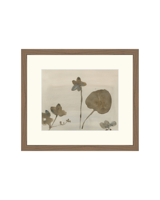 Botanical Thoughts III – Splendus