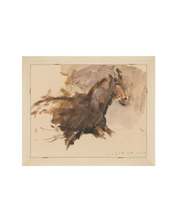 Wild Colt – Splendus