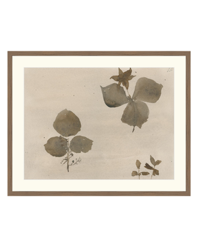 Botanical Thoughts I – Splendus