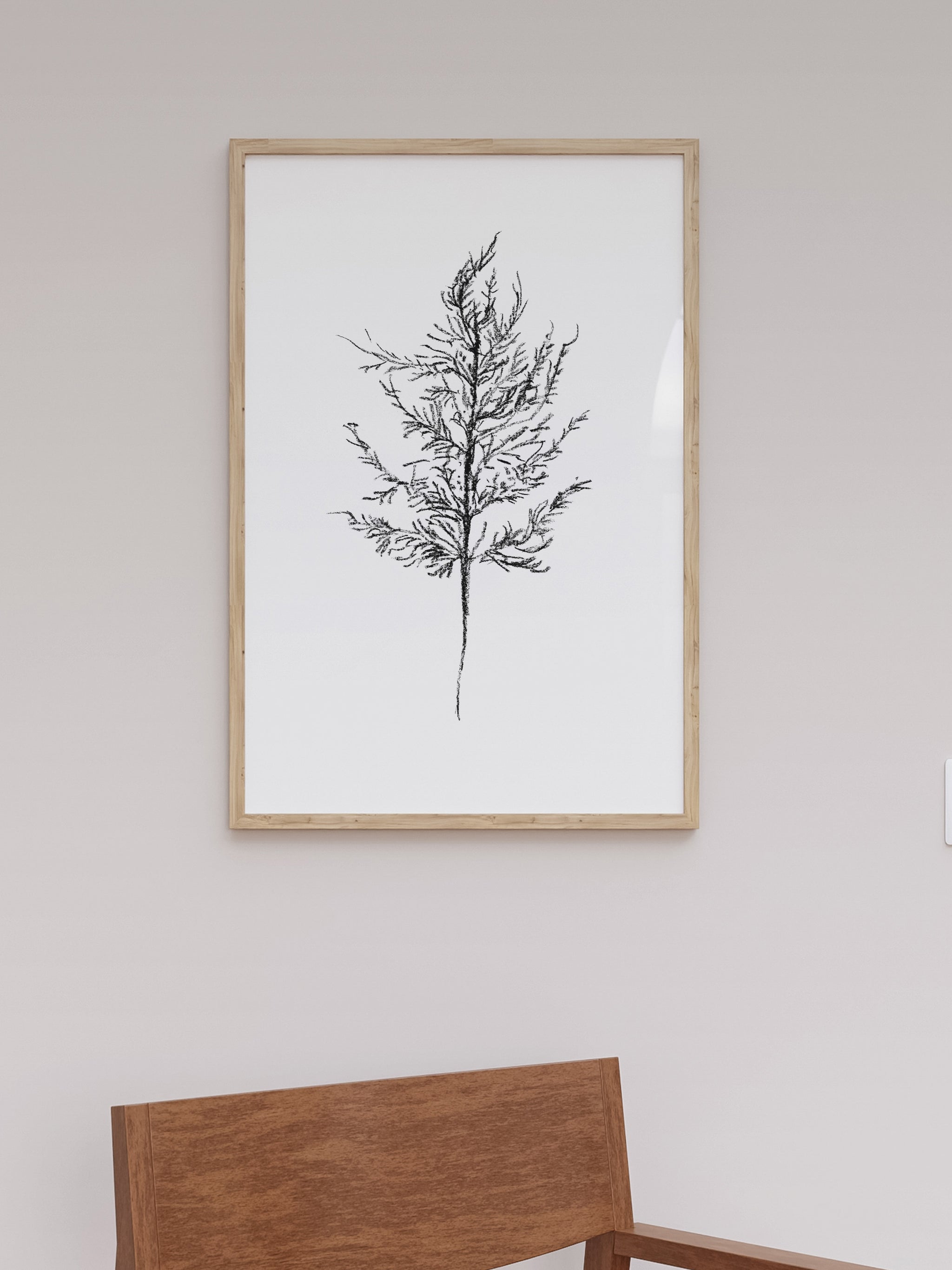 Berry Stem – Splendus