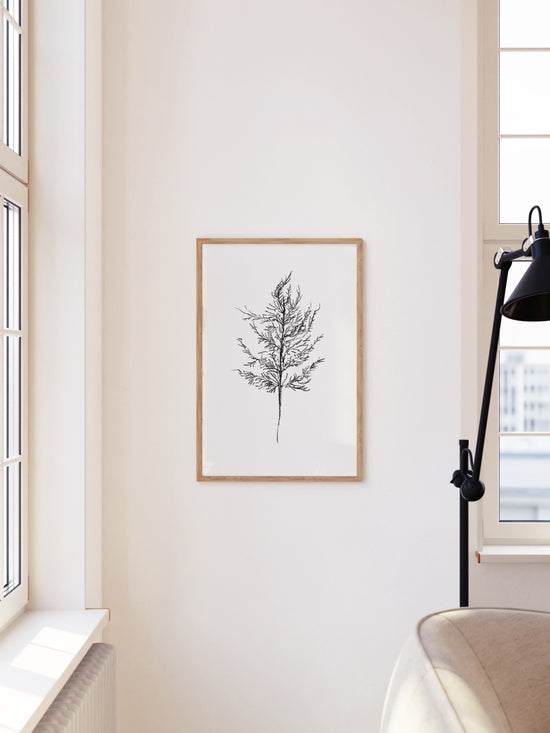 Berry Stem – Splendus