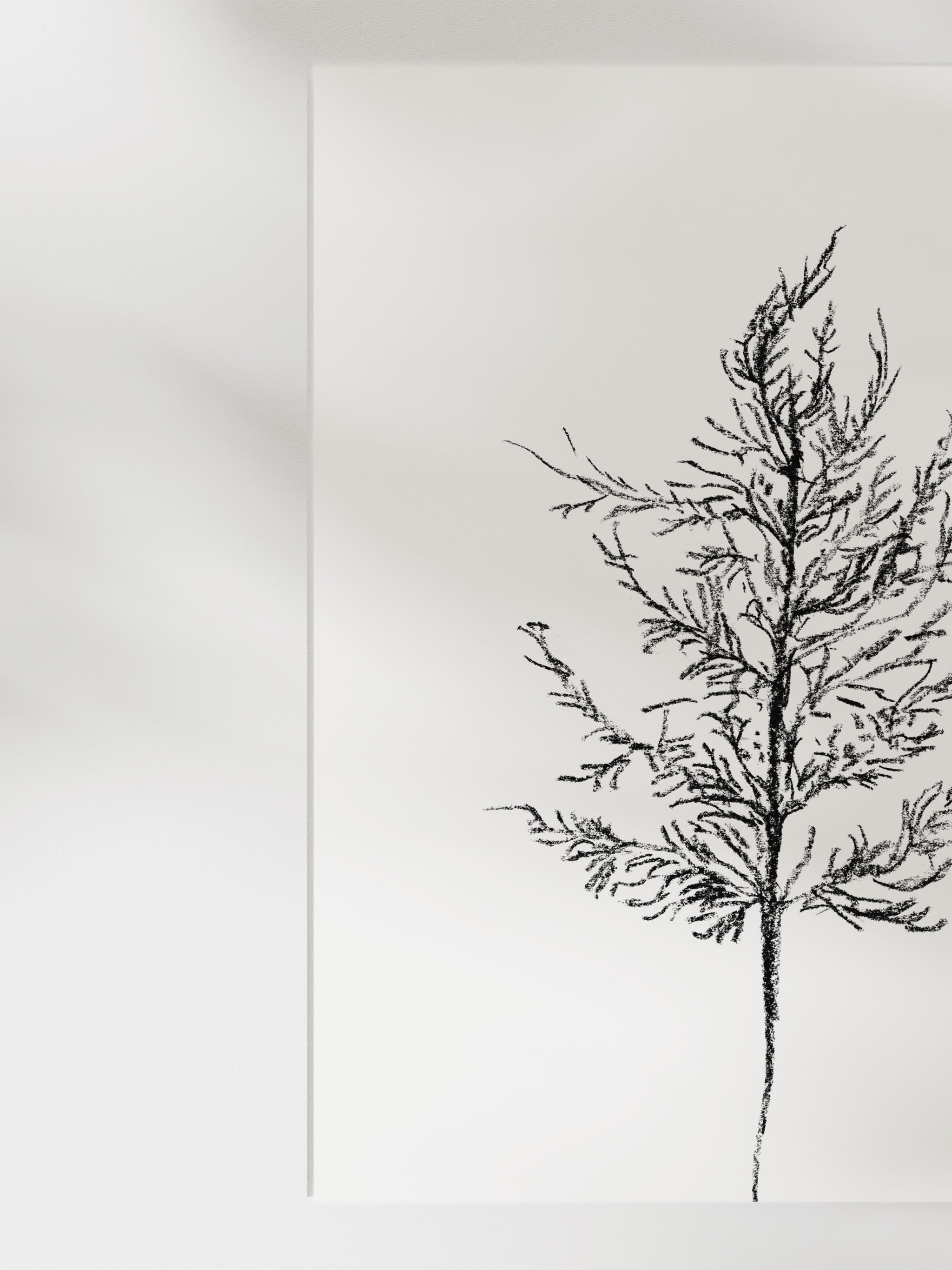 Berry Stem – Splendus