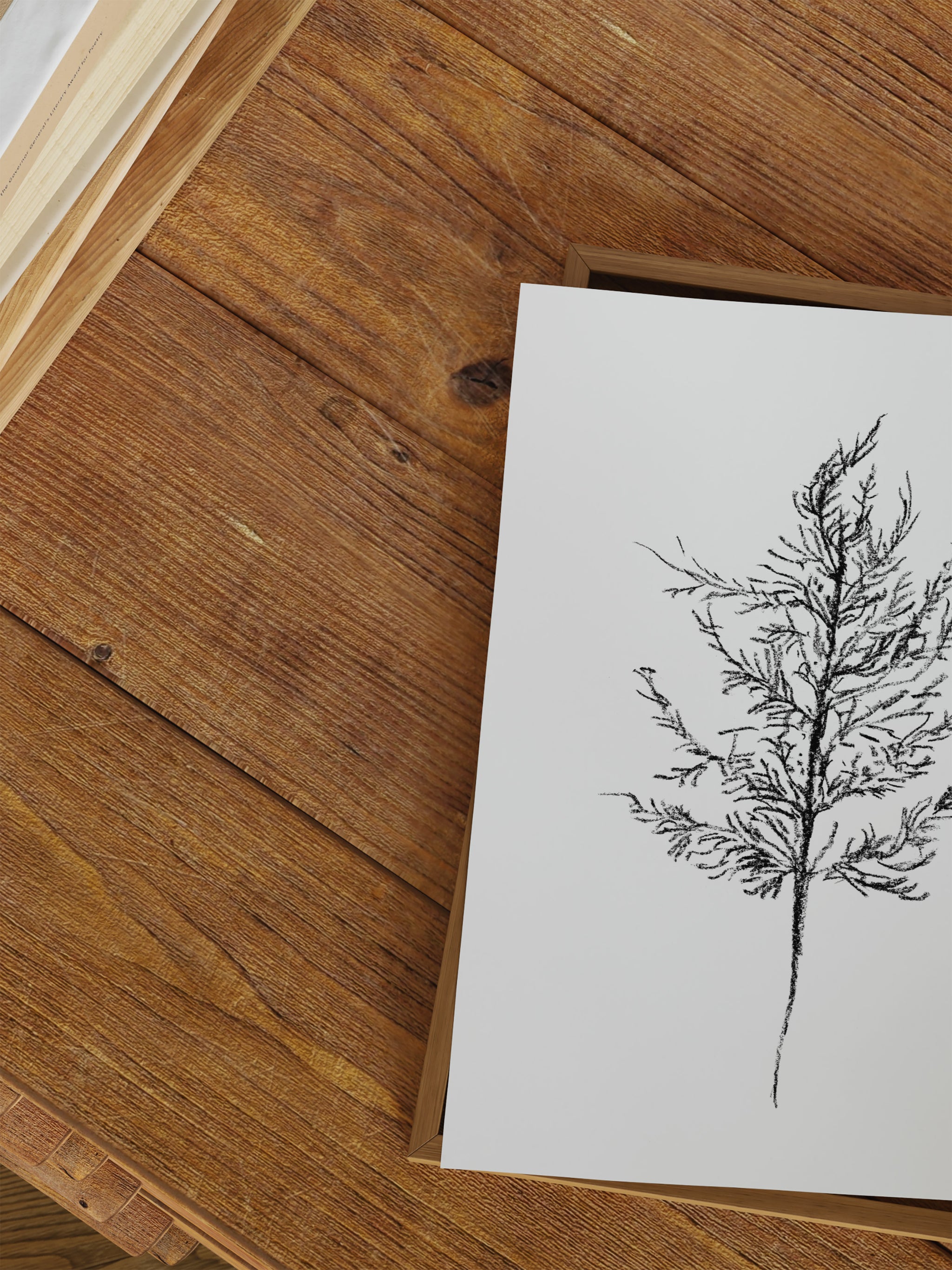 Berry Stem – Splendus