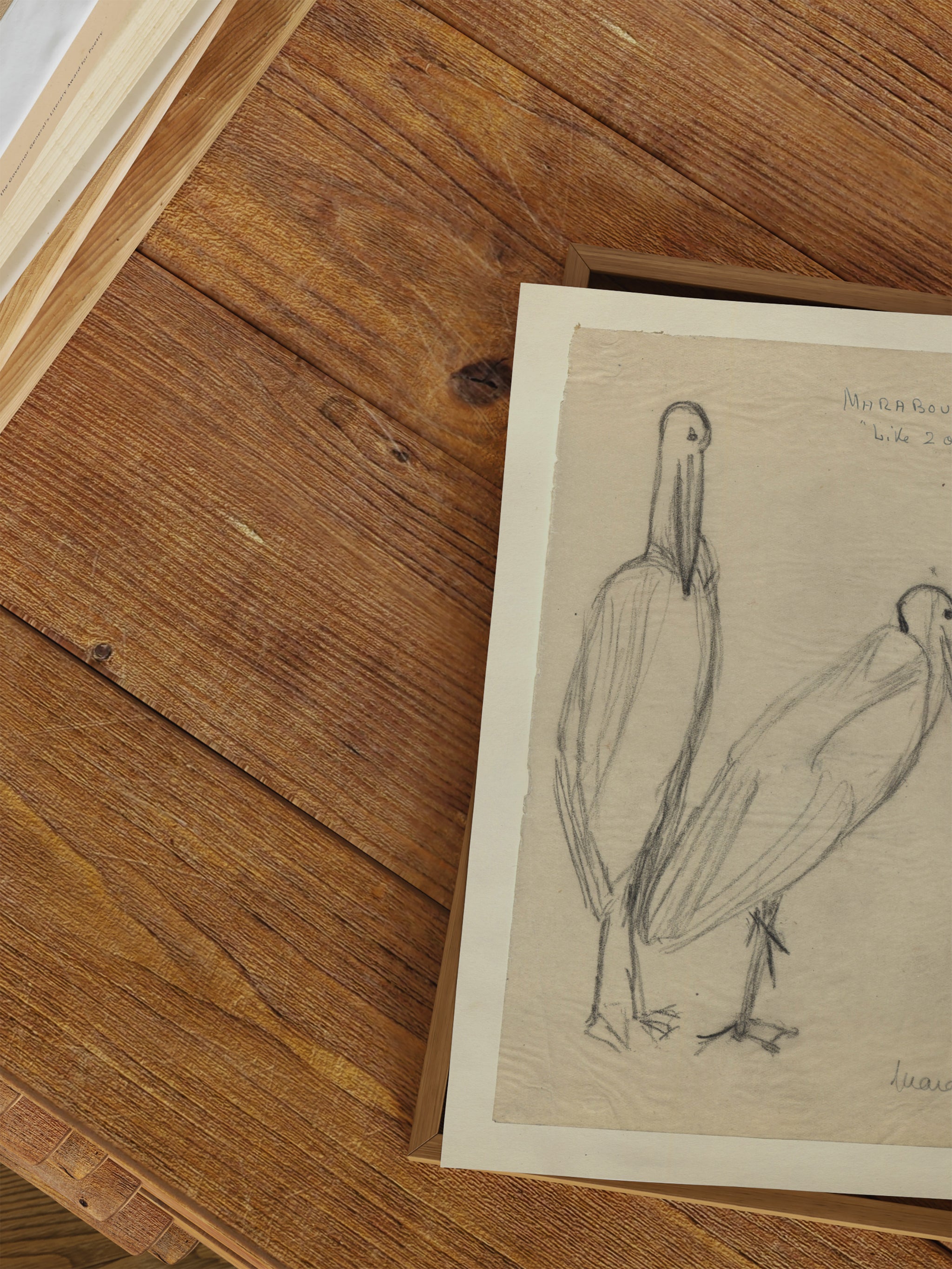 Bird Sketch – Splendus