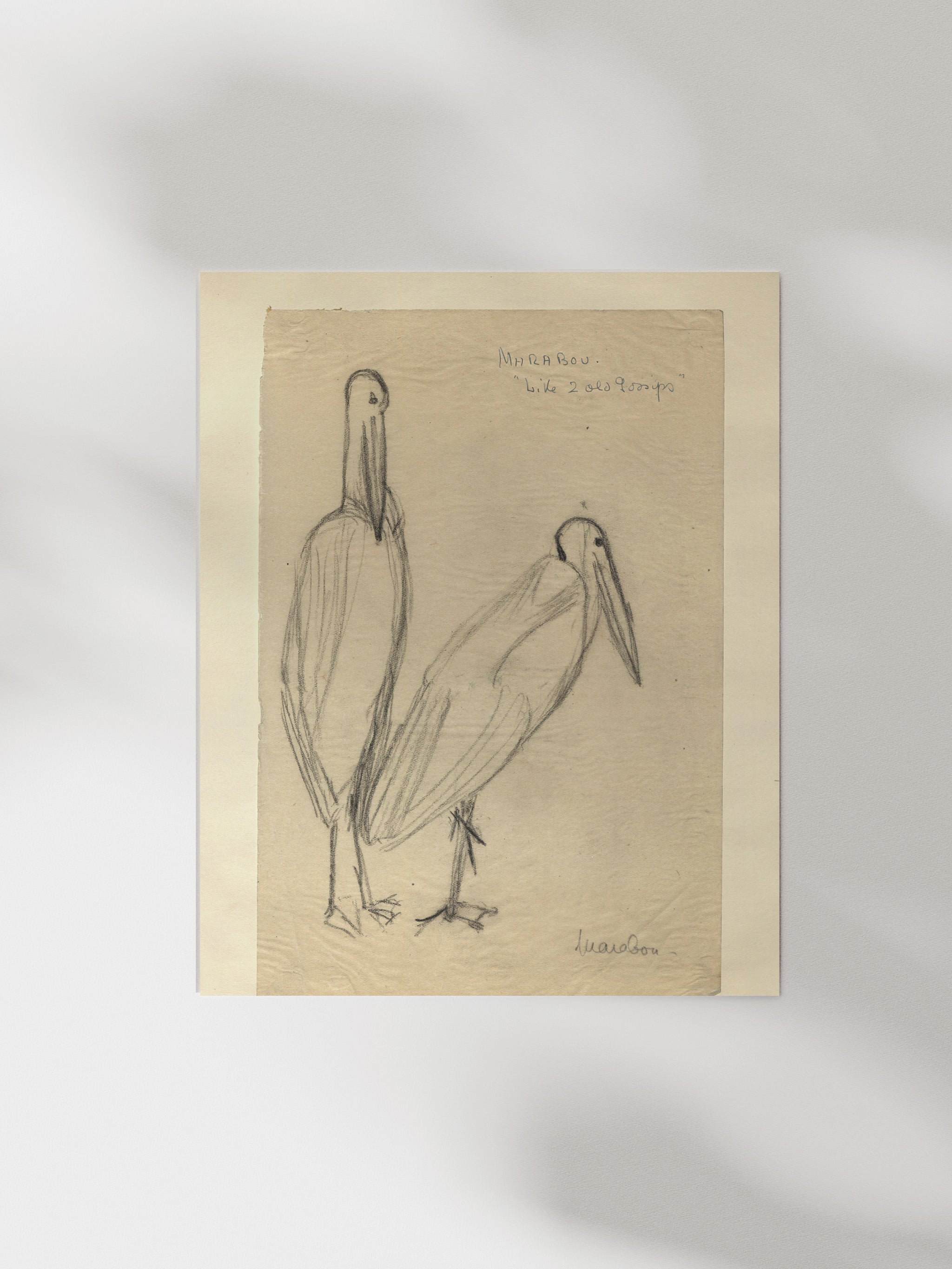 Bird Sketch – Splendus