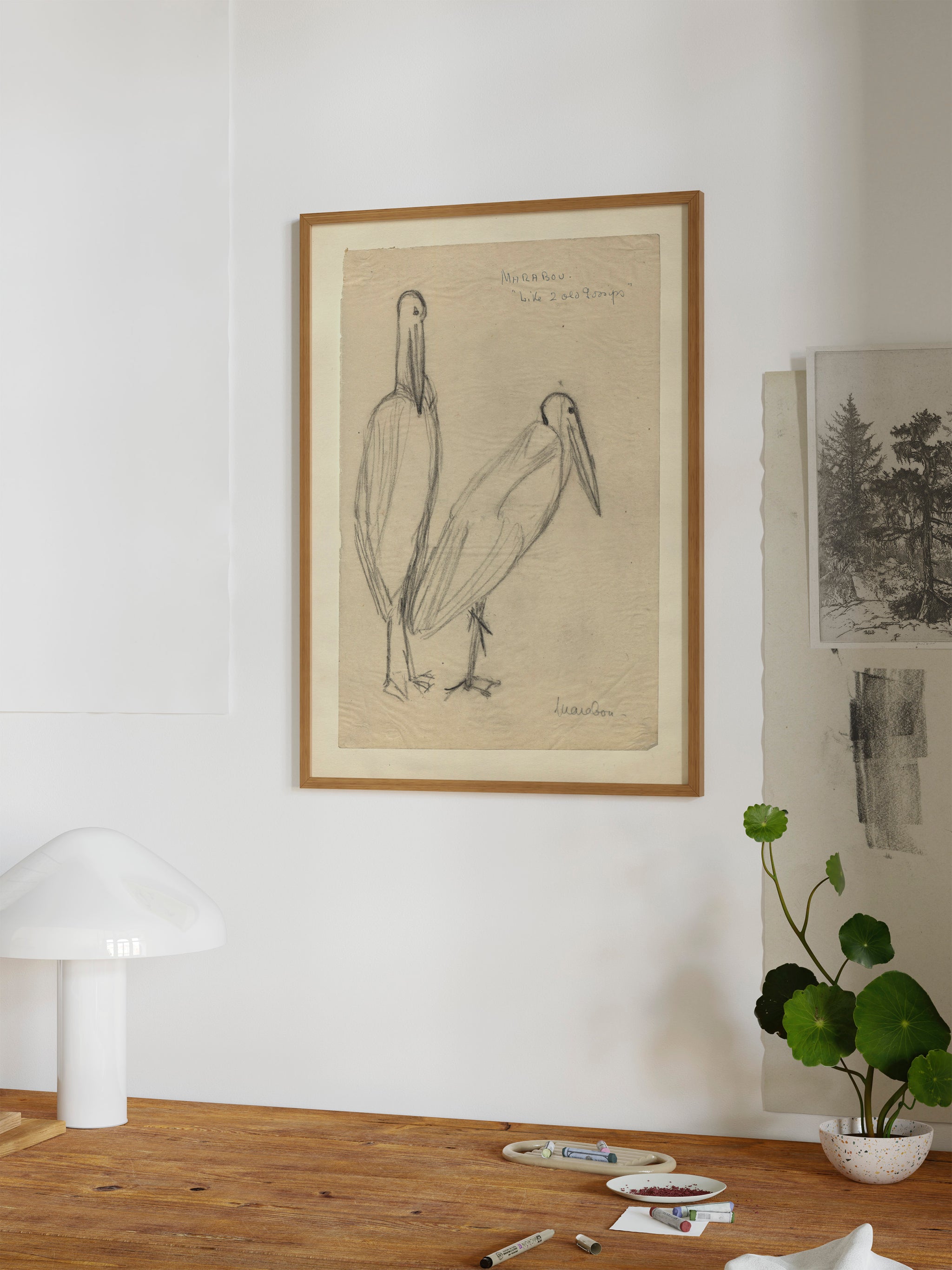 Bird Sketch – Splendus