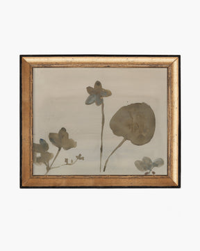 Botanical Thoughts III – Splendus