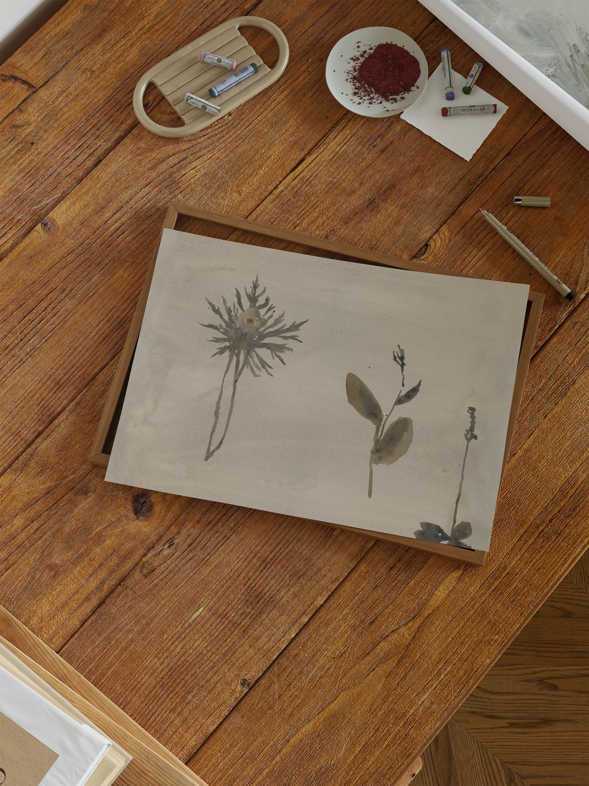 Botanical Thoughts IV – Splendus