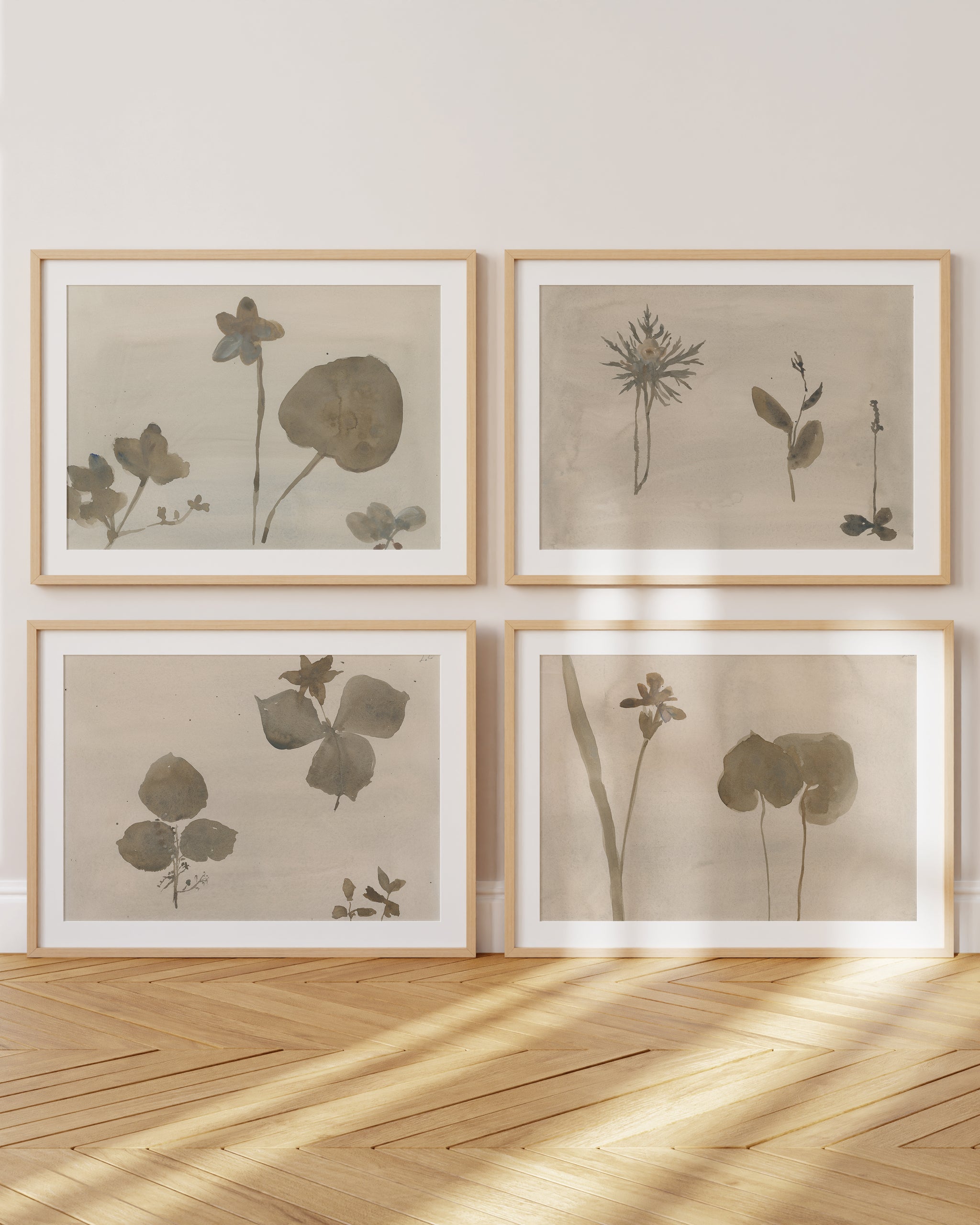 Botanical Thoughts I – Splendus