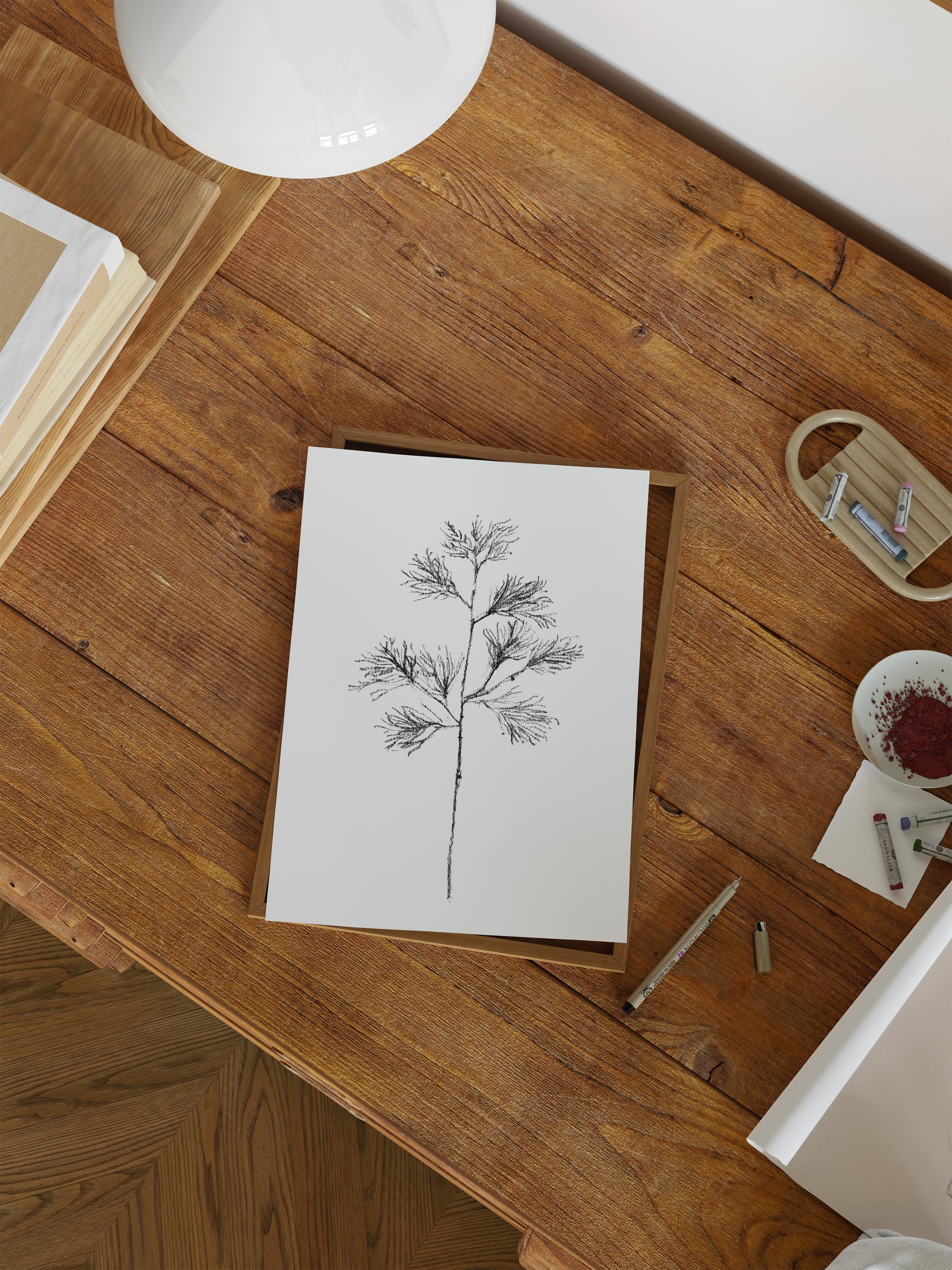 Cedar Stem – Splendus