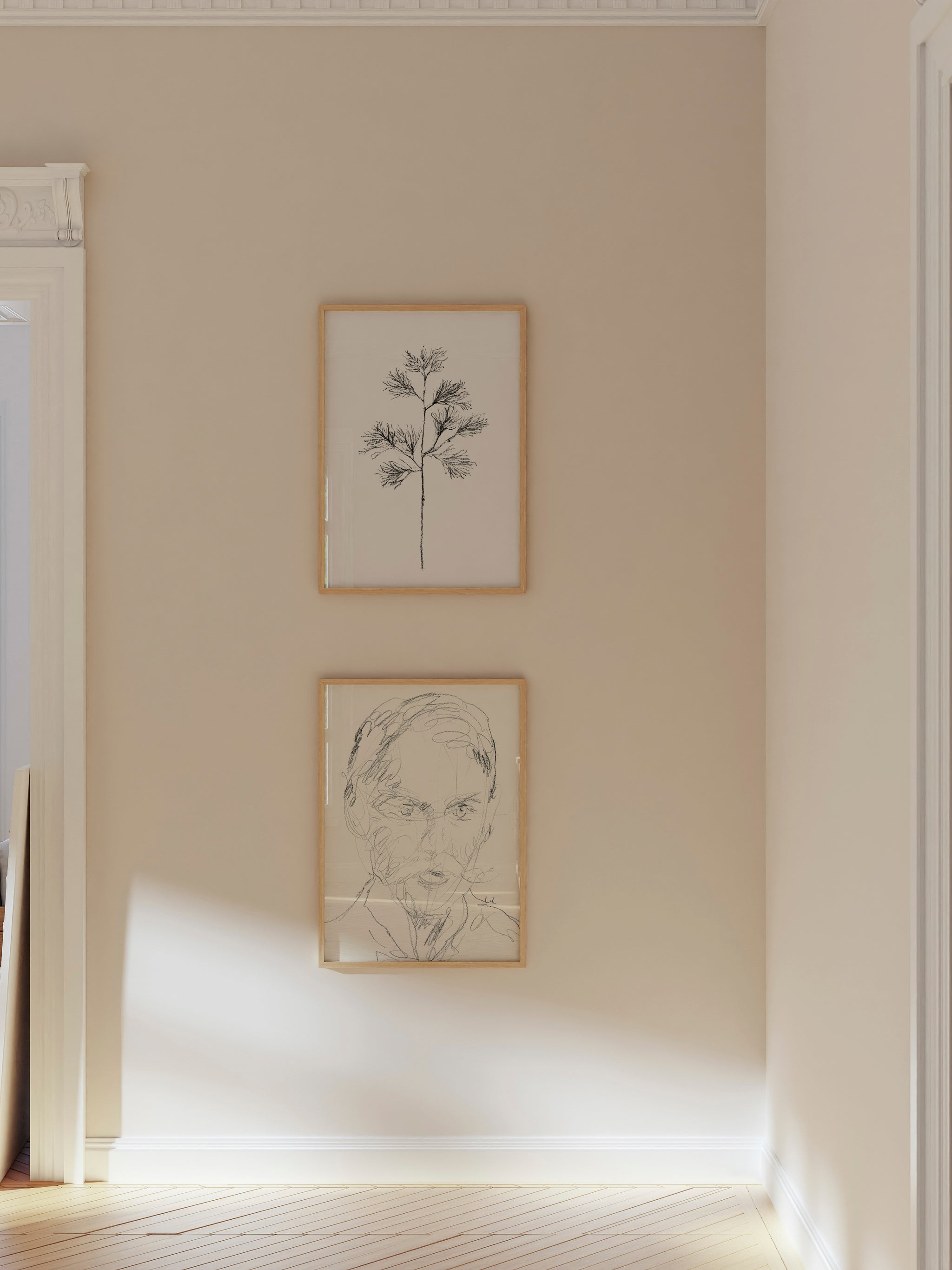 Cedar Stem – Splendus