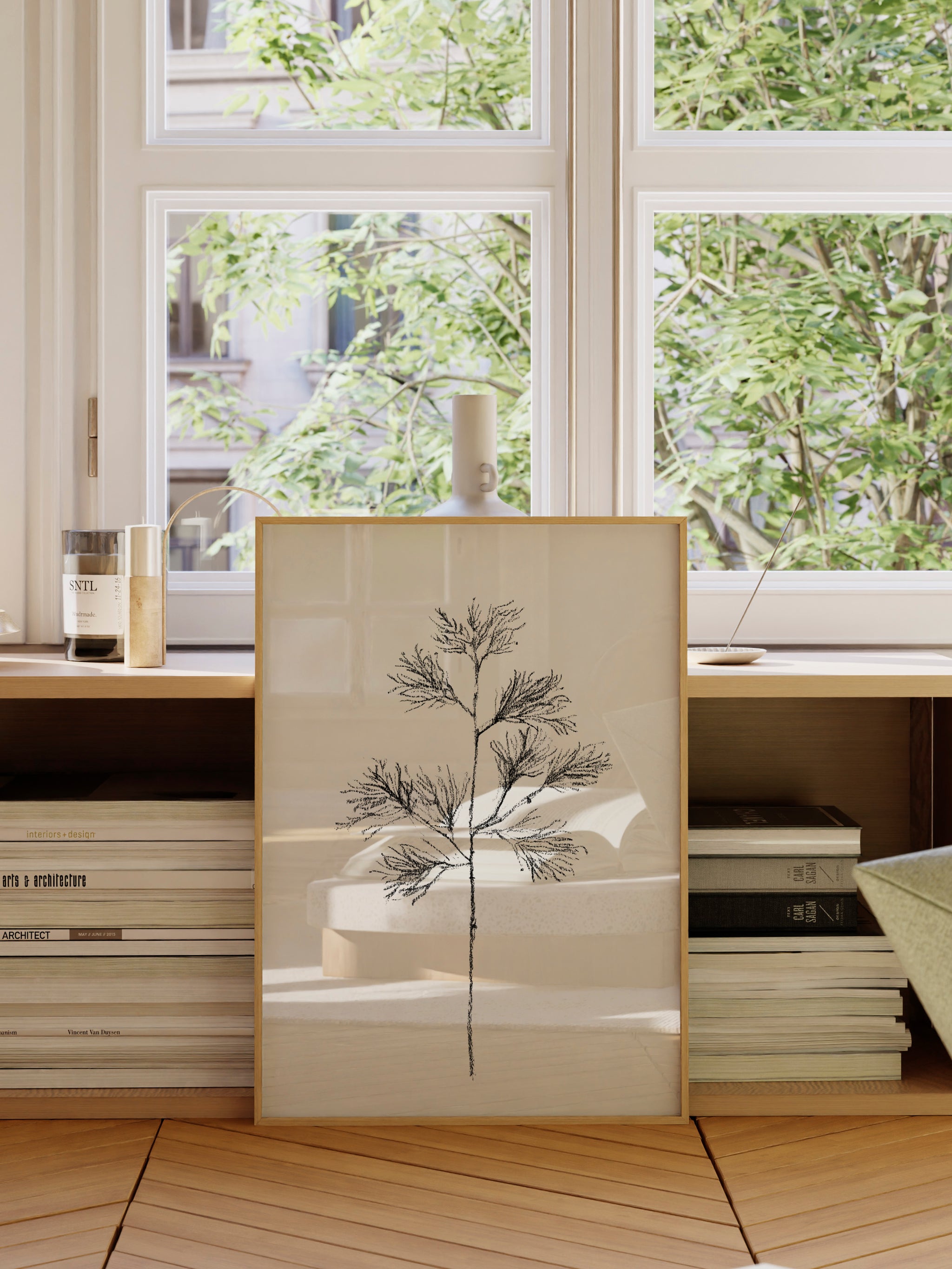 Cedar Stem – Splendus