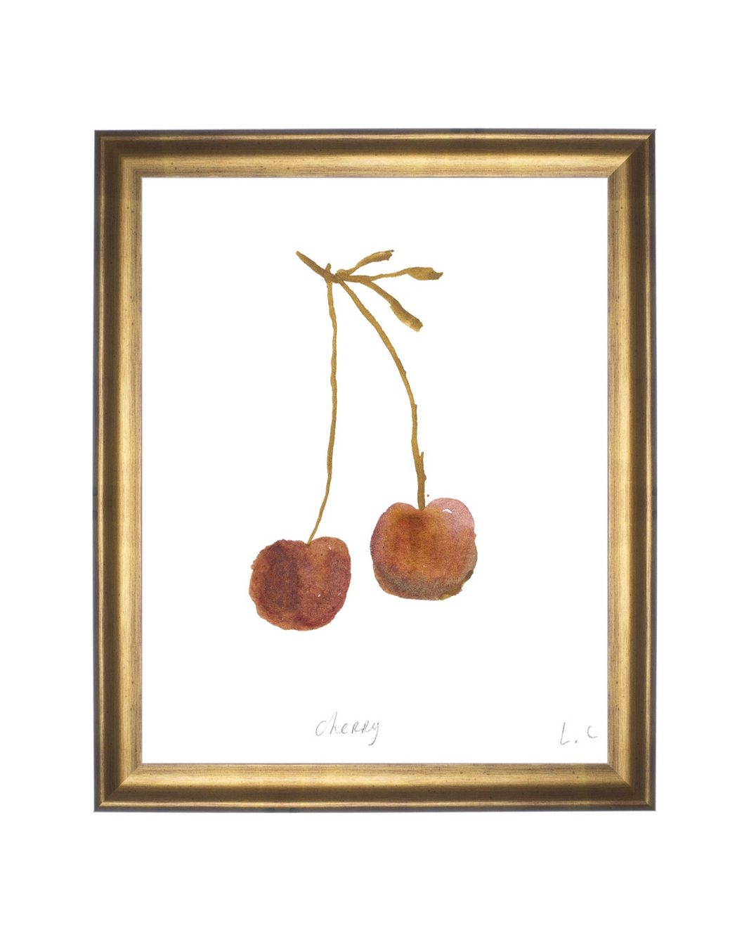 Drawings – Splendus