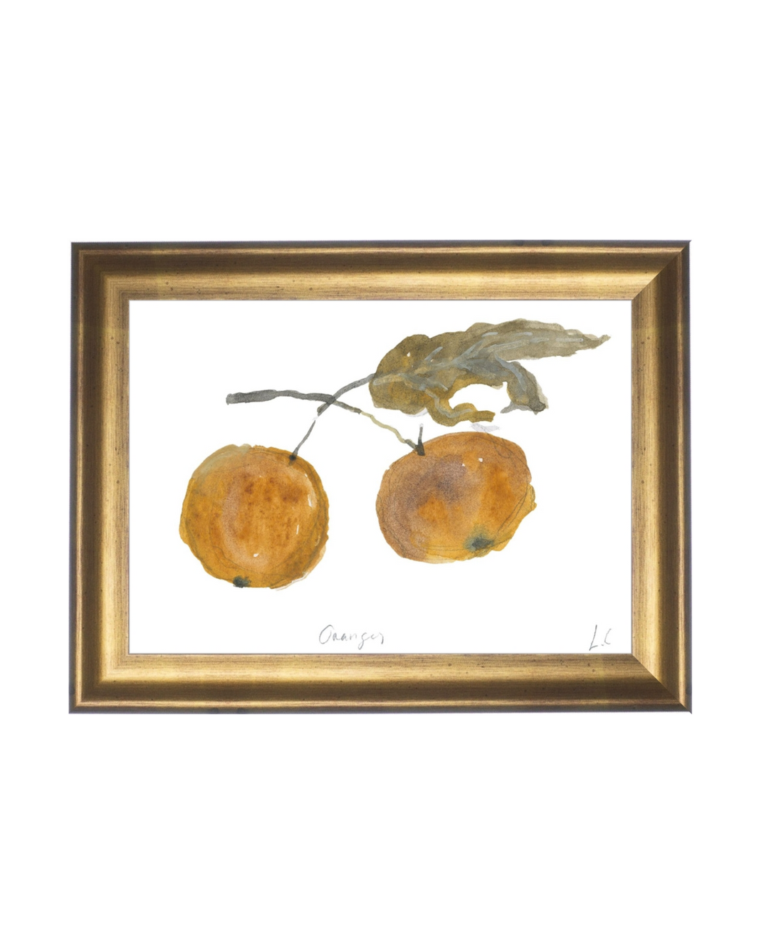 Drawings – Splendus