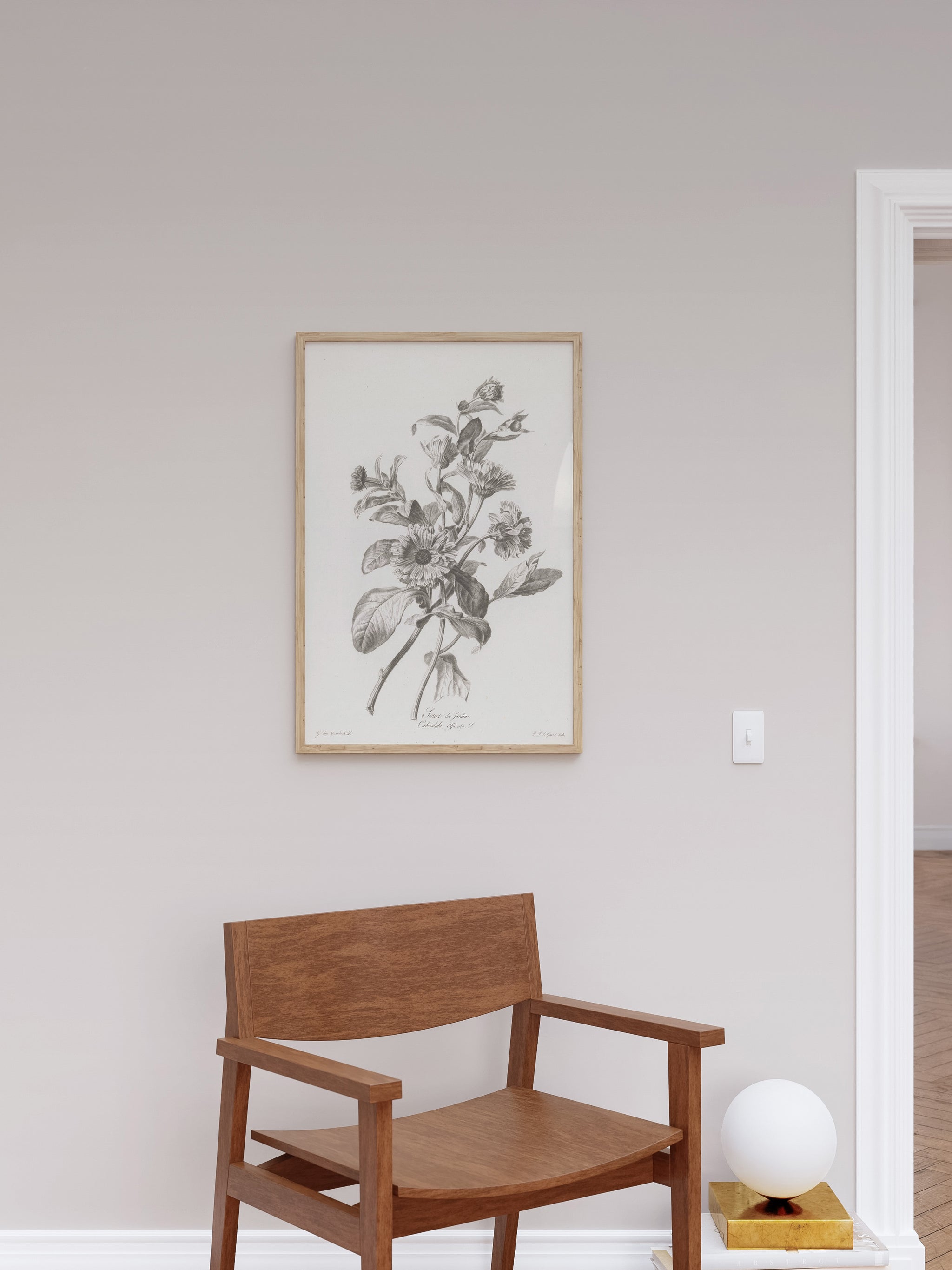 Floral Drawing II – Splendus