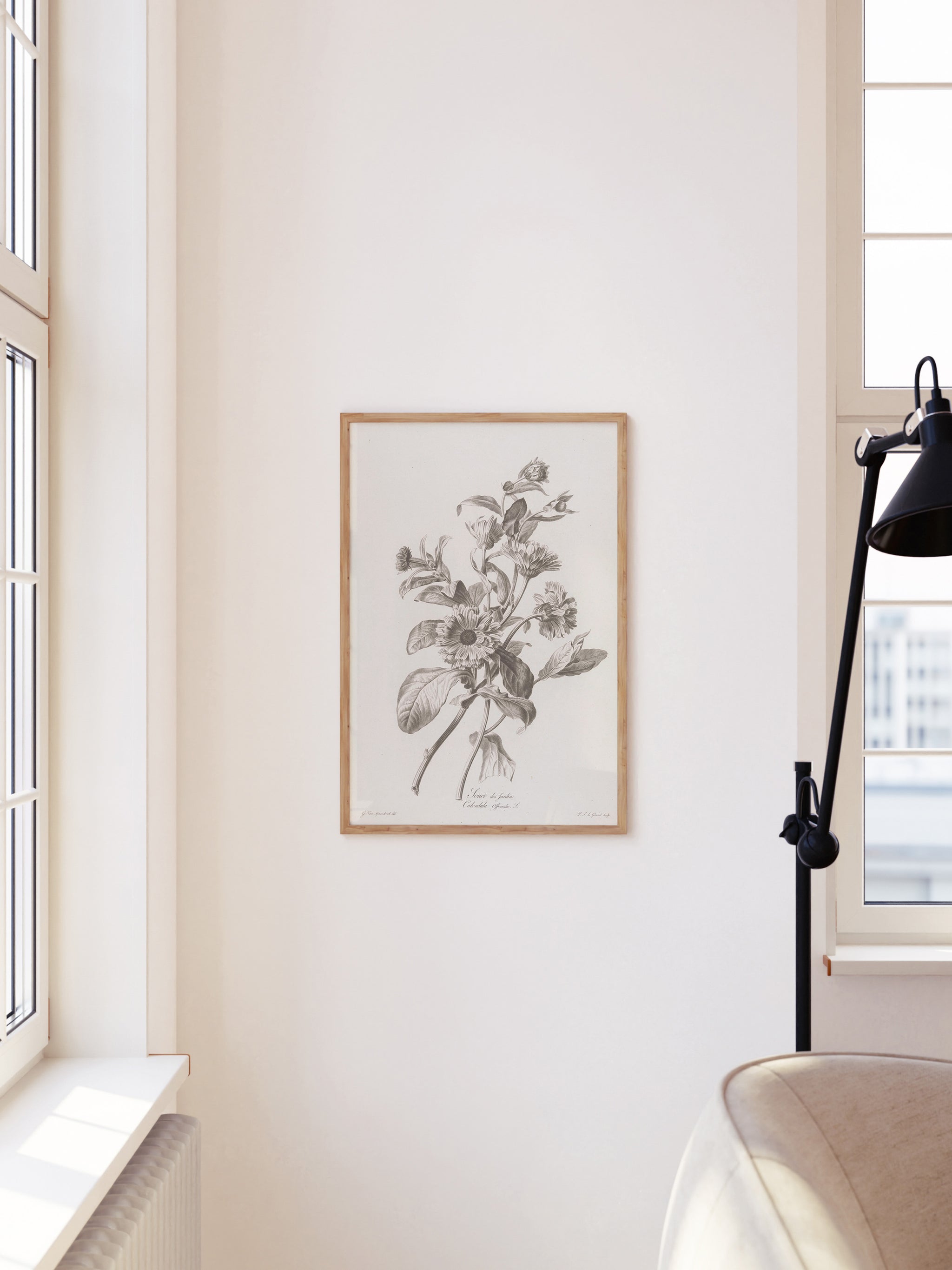 Floral Drawing II – Splendus