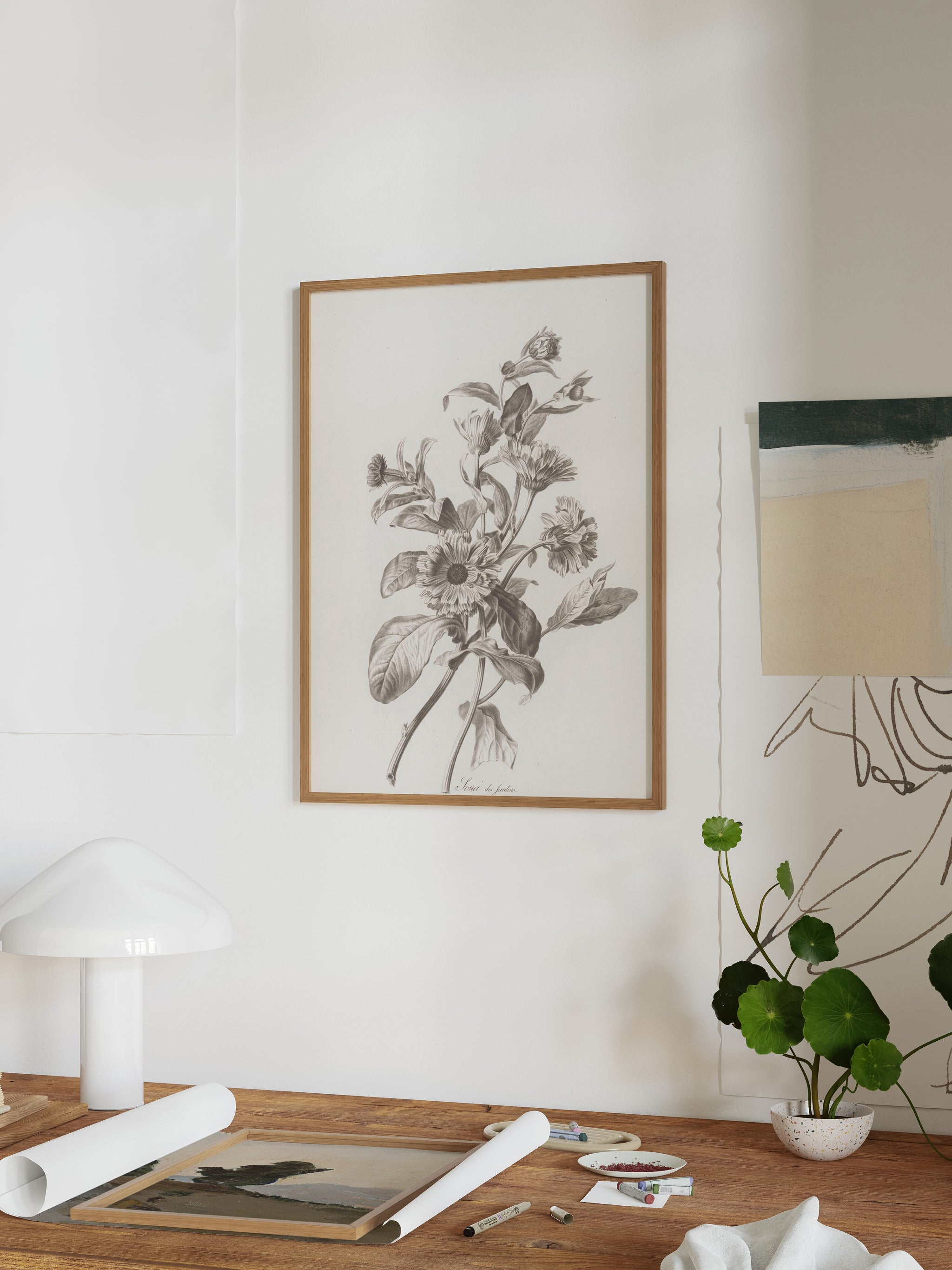 Floral Drawing II – Splendus