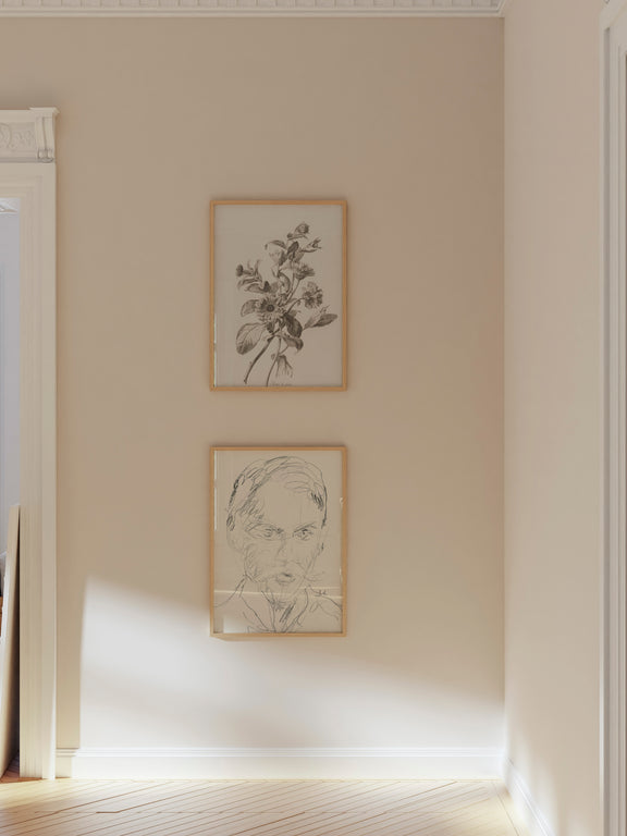 Floral Drawing II – Splendus