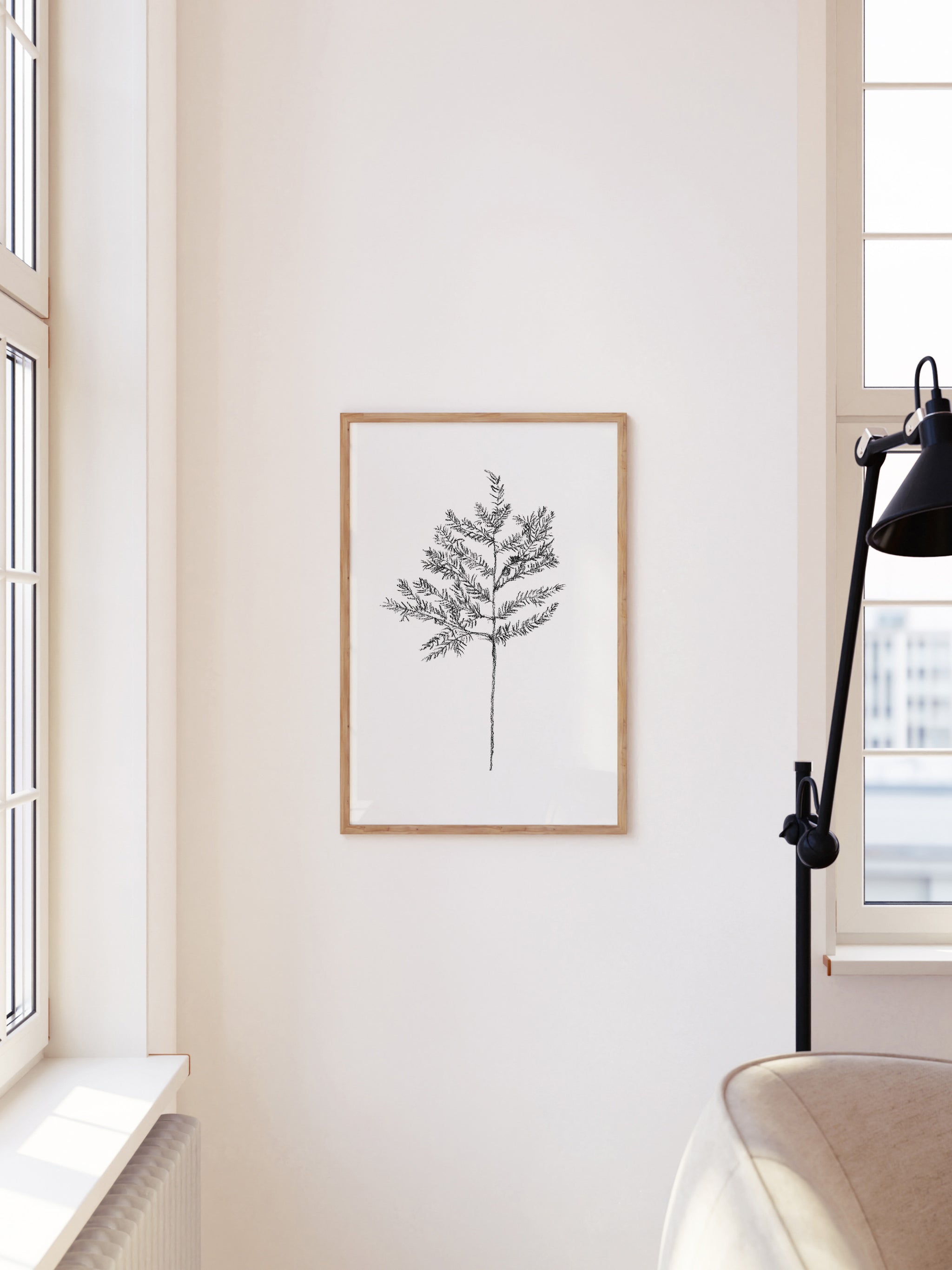 Hemlock Stem – Splendus