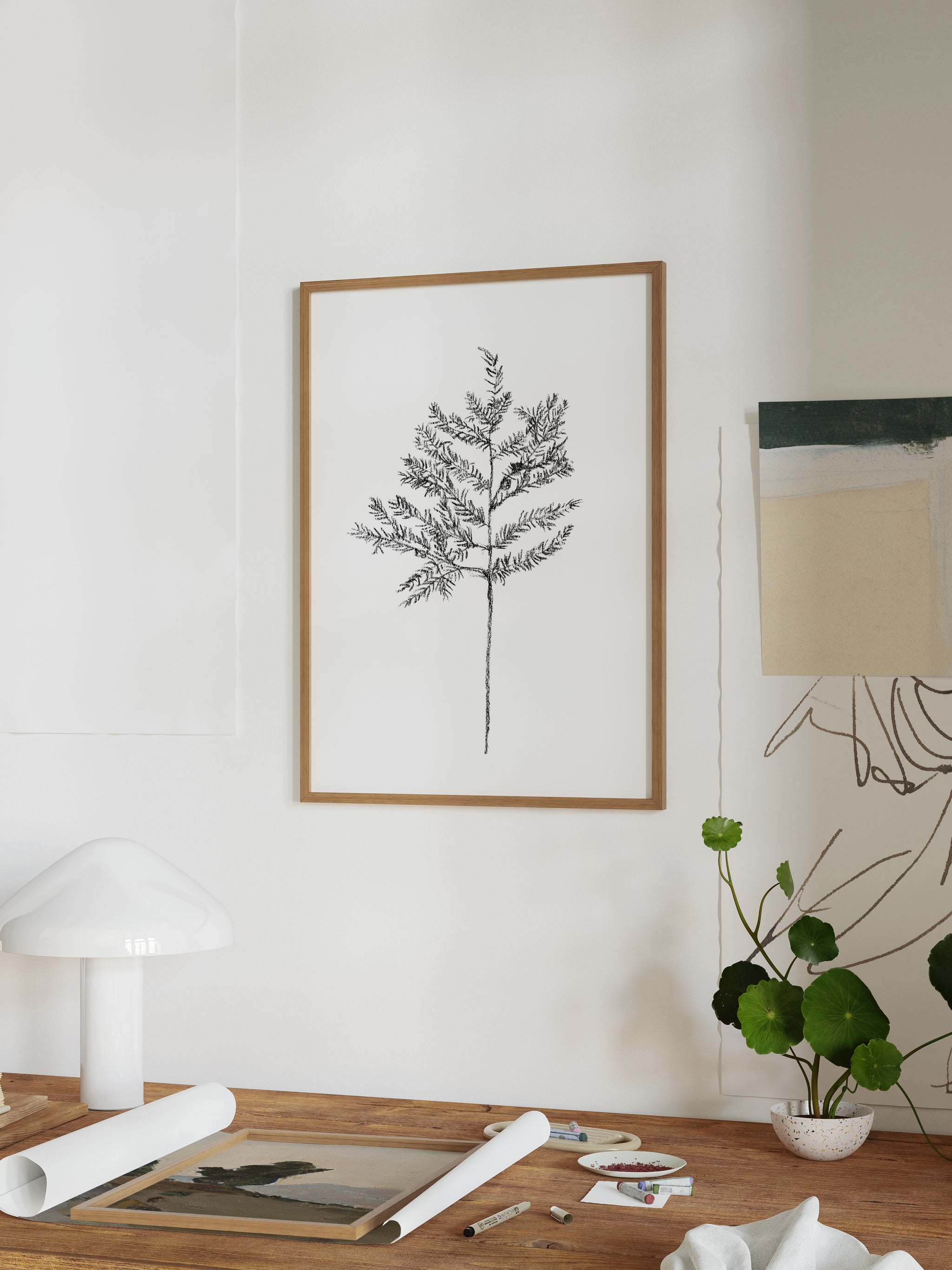 Hemlock Stem – Splendus