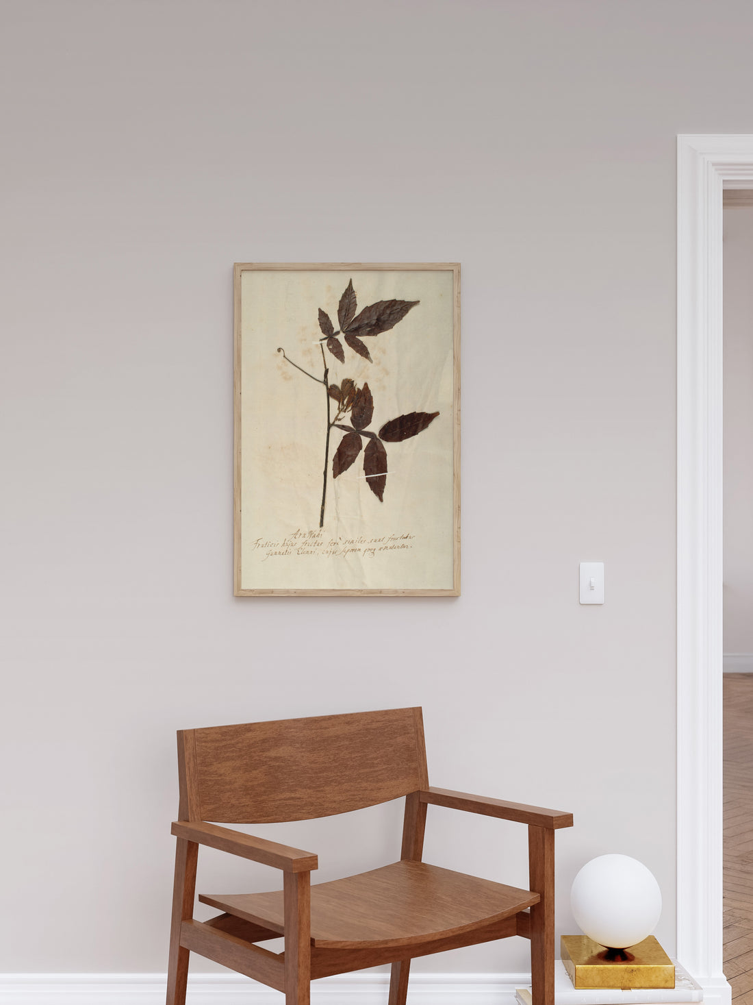 Herbarium I – Splendus