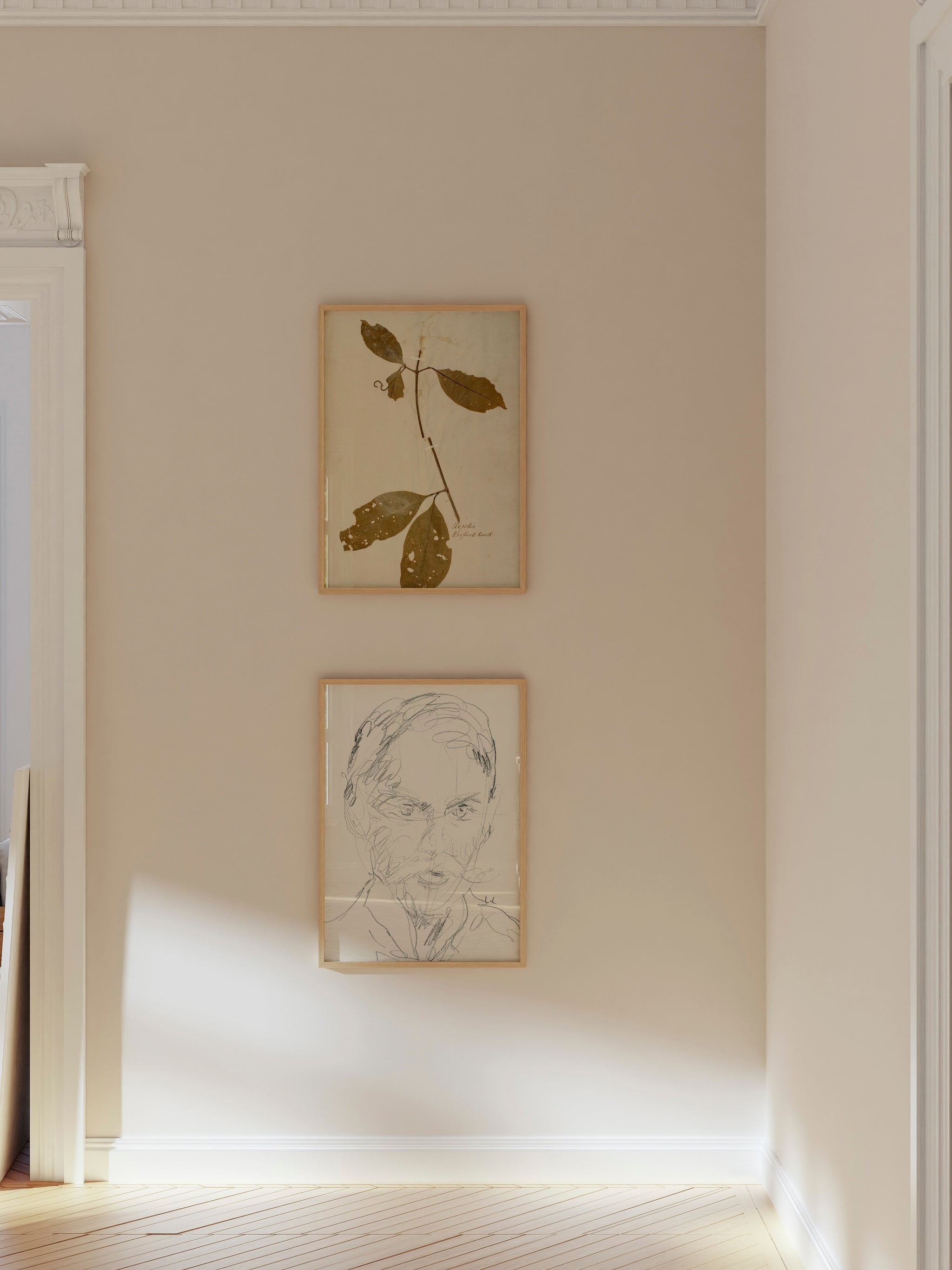 Herbarium IV – Splendus