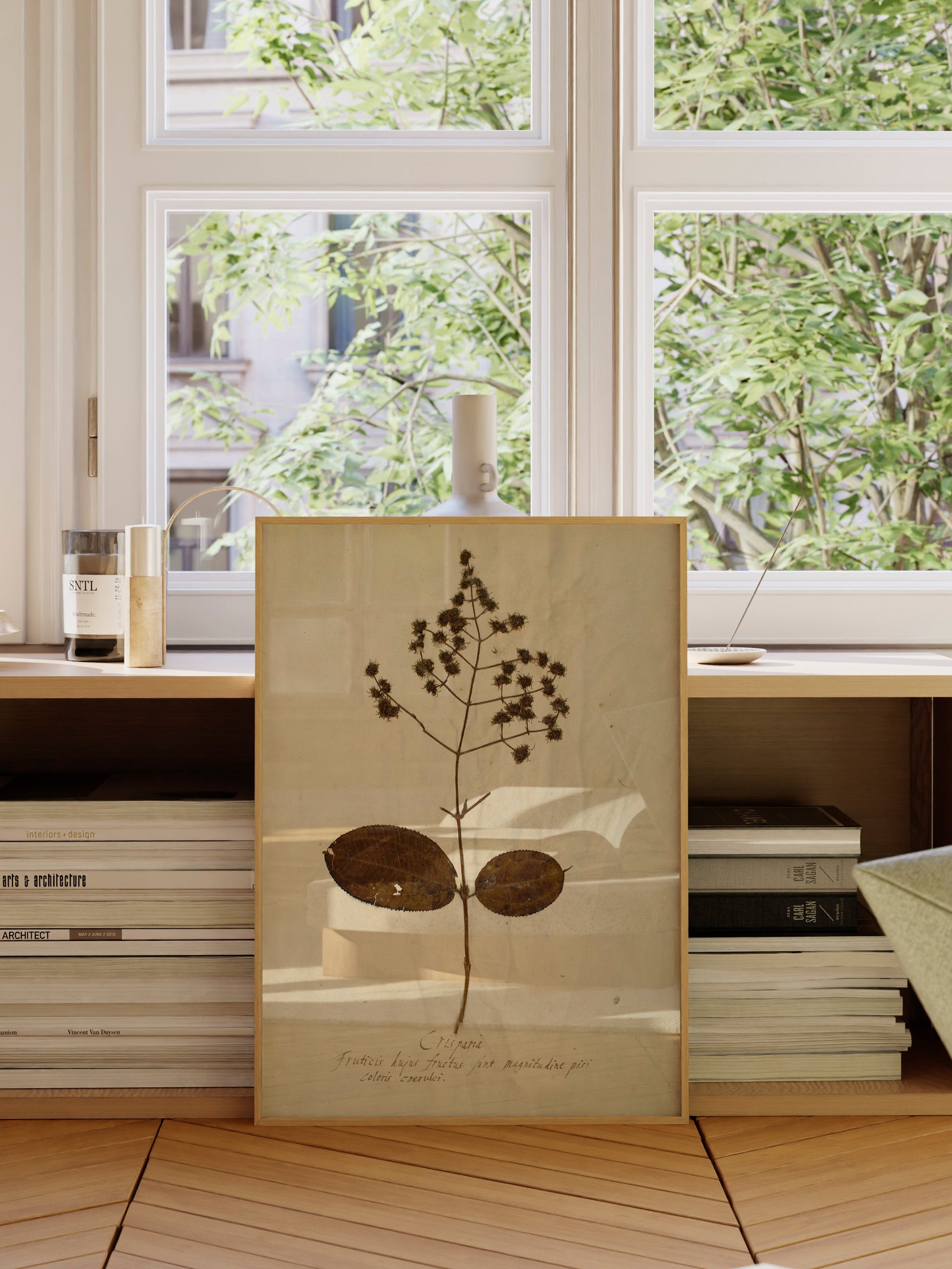 Herbarium V – Splendus