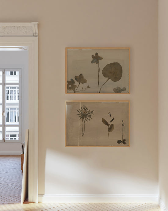 Botanical Thoughts IV – Splendus