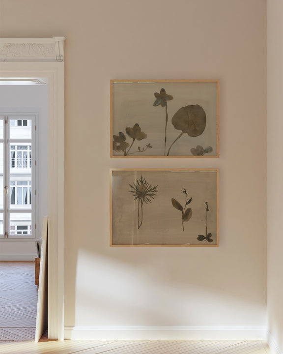 Botanical Thoughts IV – Splendus