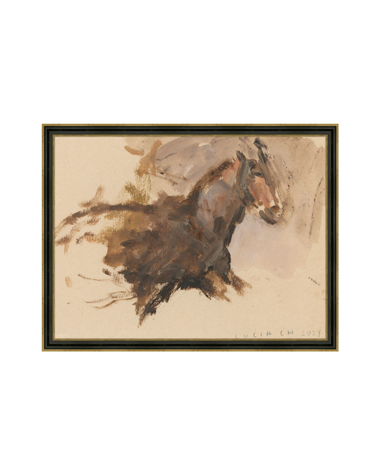 Wild Colt – Splendus