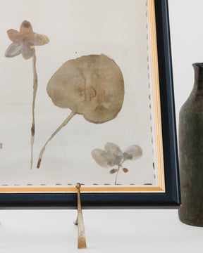 Botanical Thoughts III – Splendus