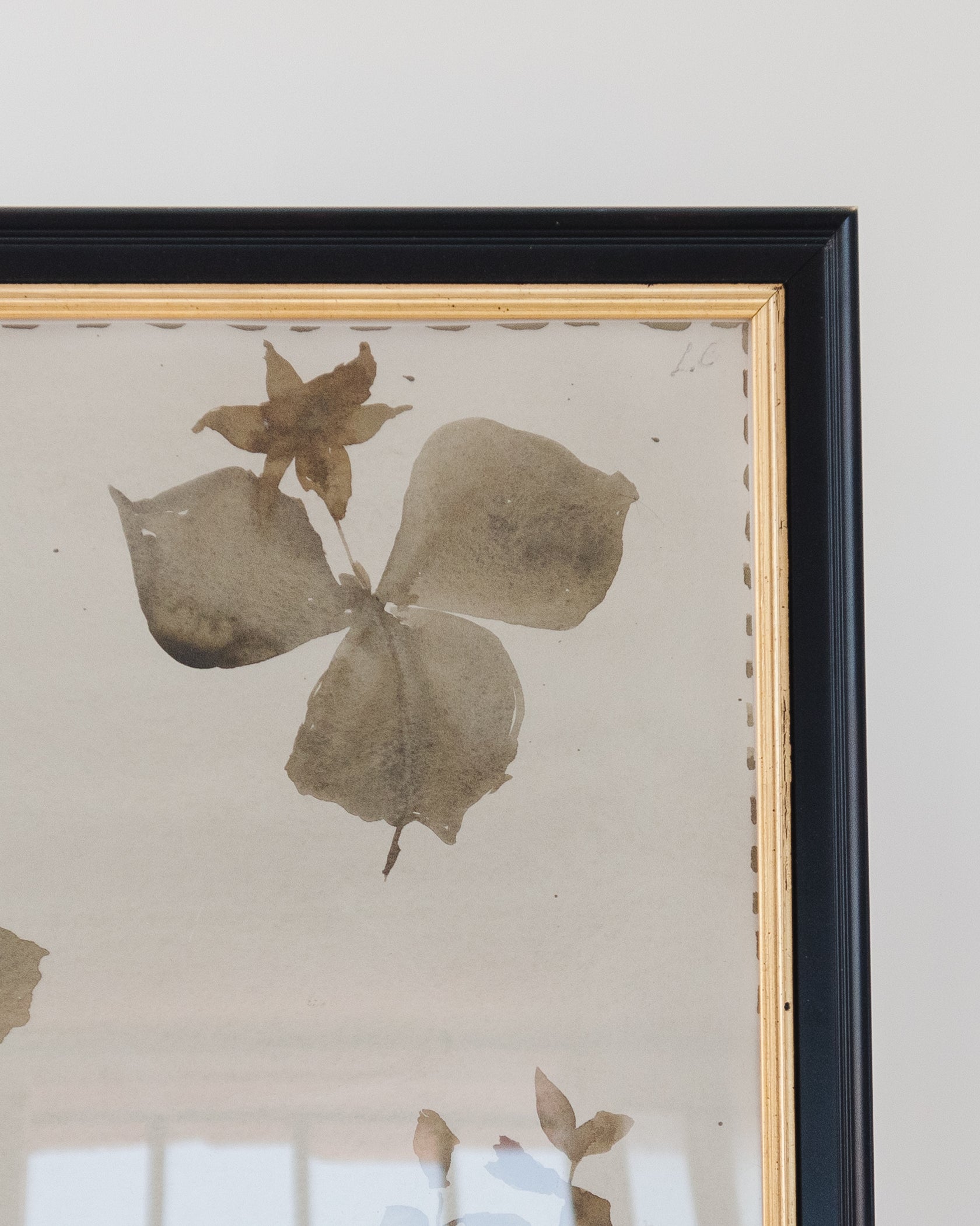 Botanical Thoughts I – Splendus