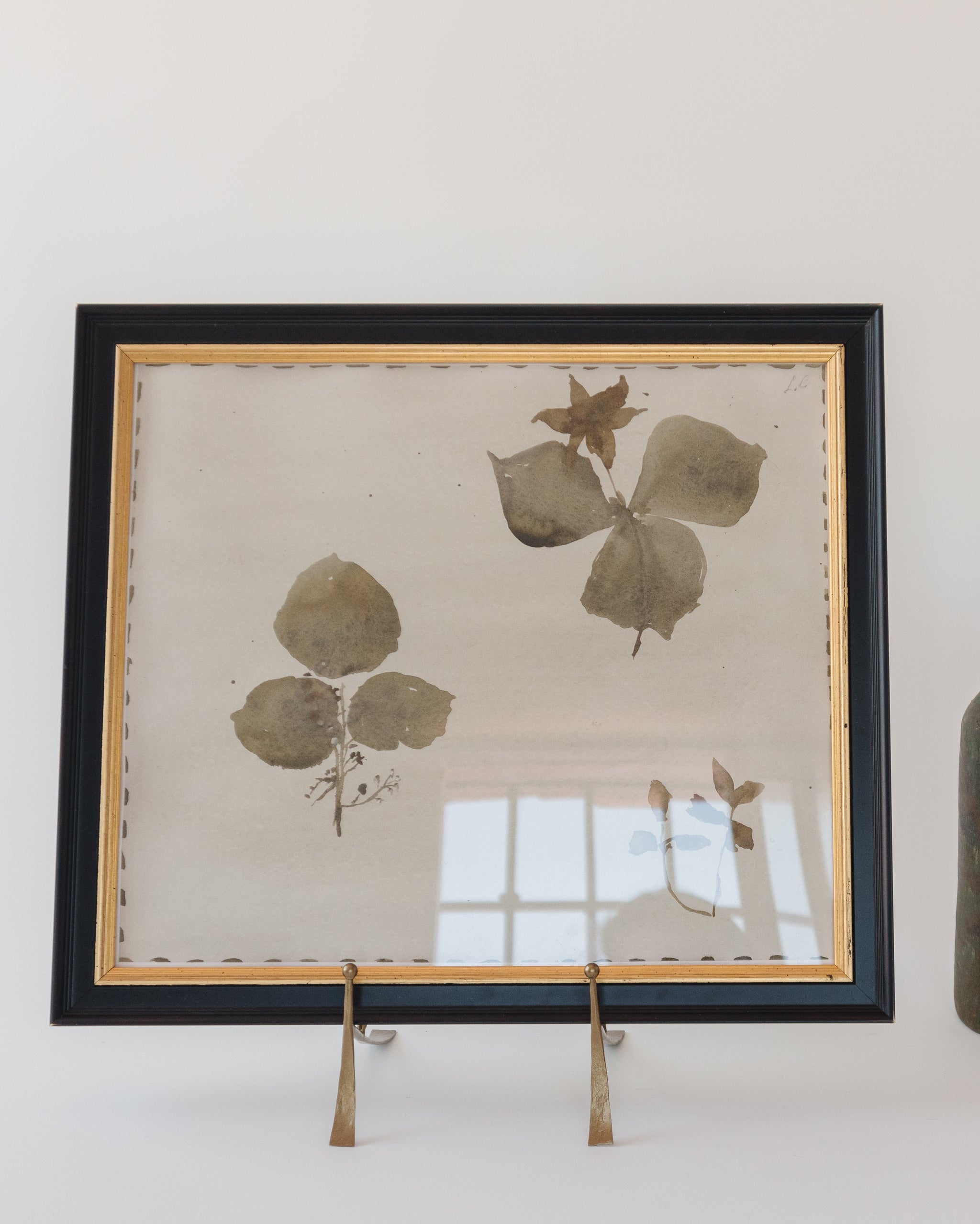 Botanical Thoughts I – Splendus