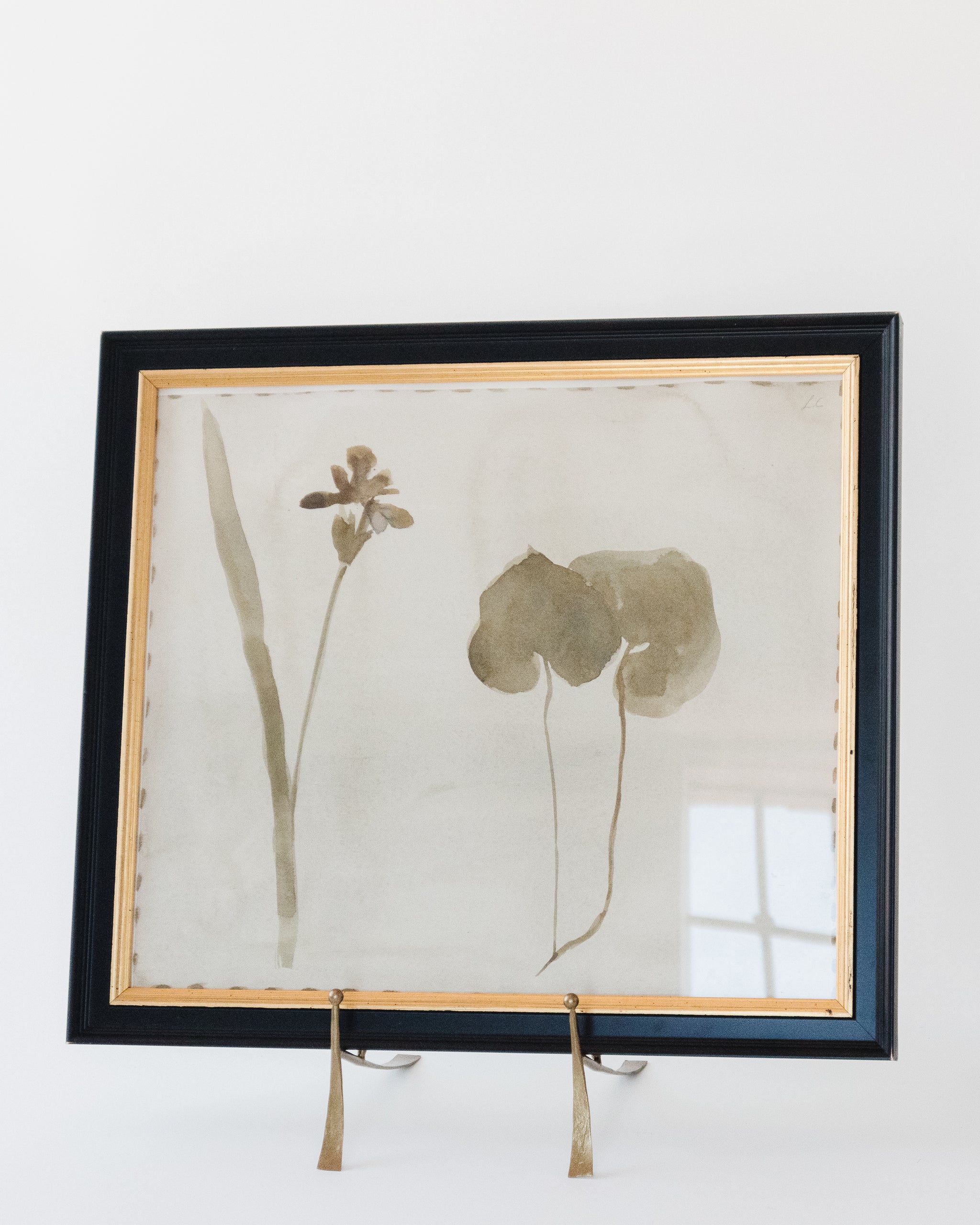 Botanical Thoughts II – Splendus