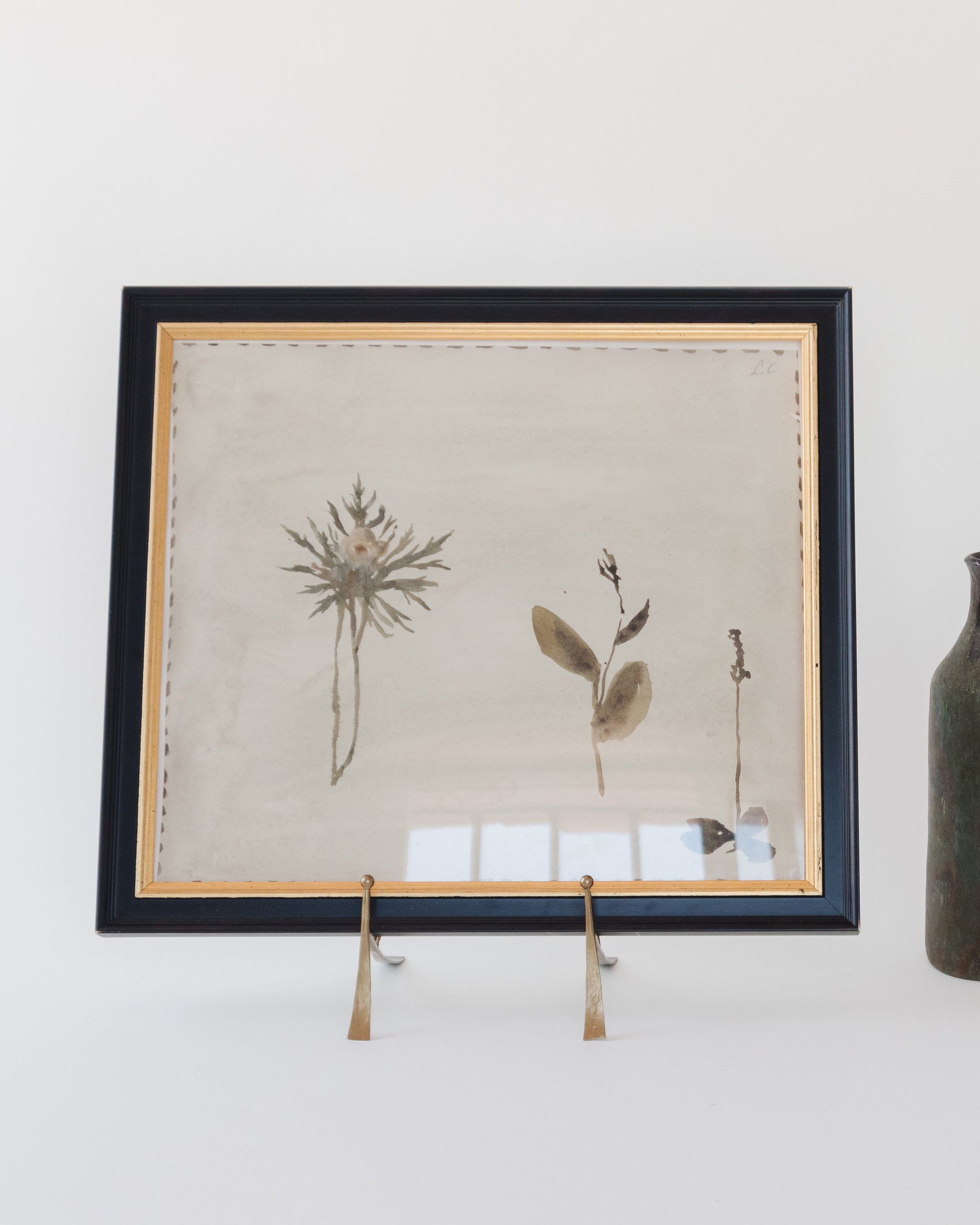 Botanical Thoughts IV – Splendus